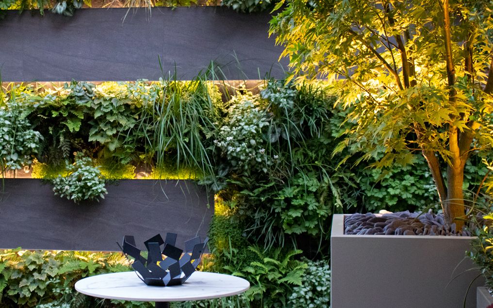 Green Wall Courtyard by Mylandscapes Garden Design - Architizer