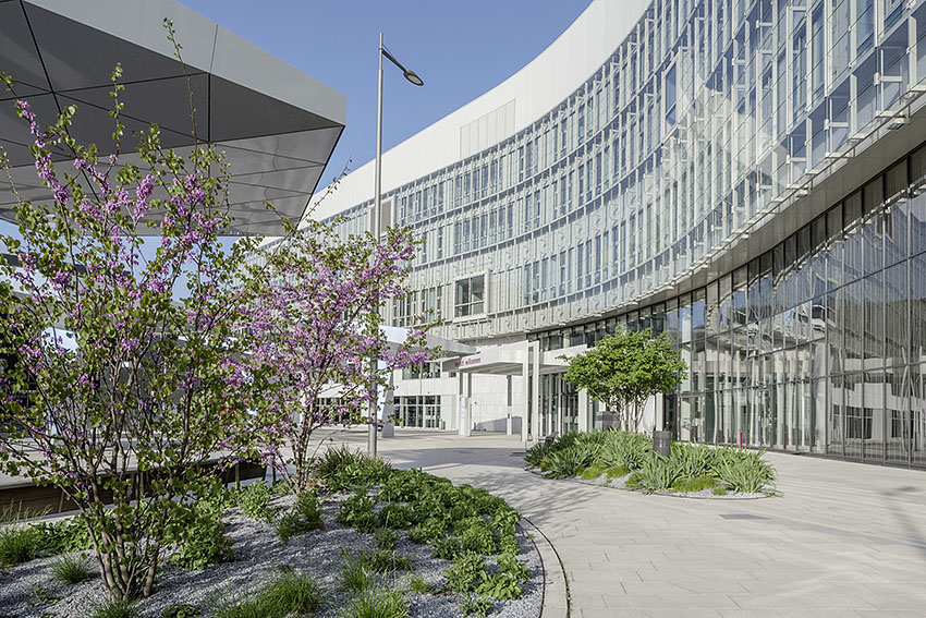 Vienna North Hospital by Martha Schwartz Partners - Architizer