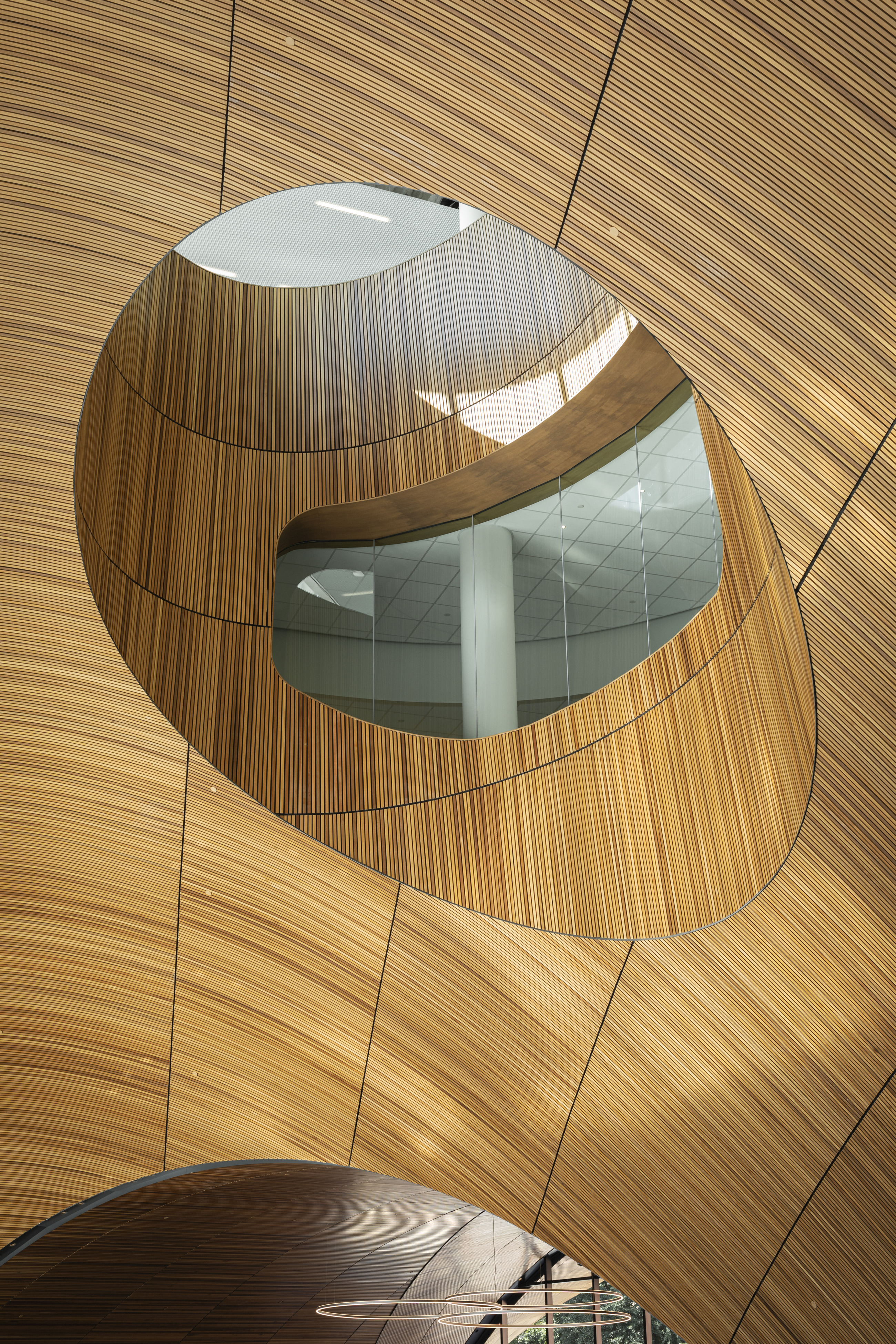 Charles Library at Temple University by Snøhetta - Architizer