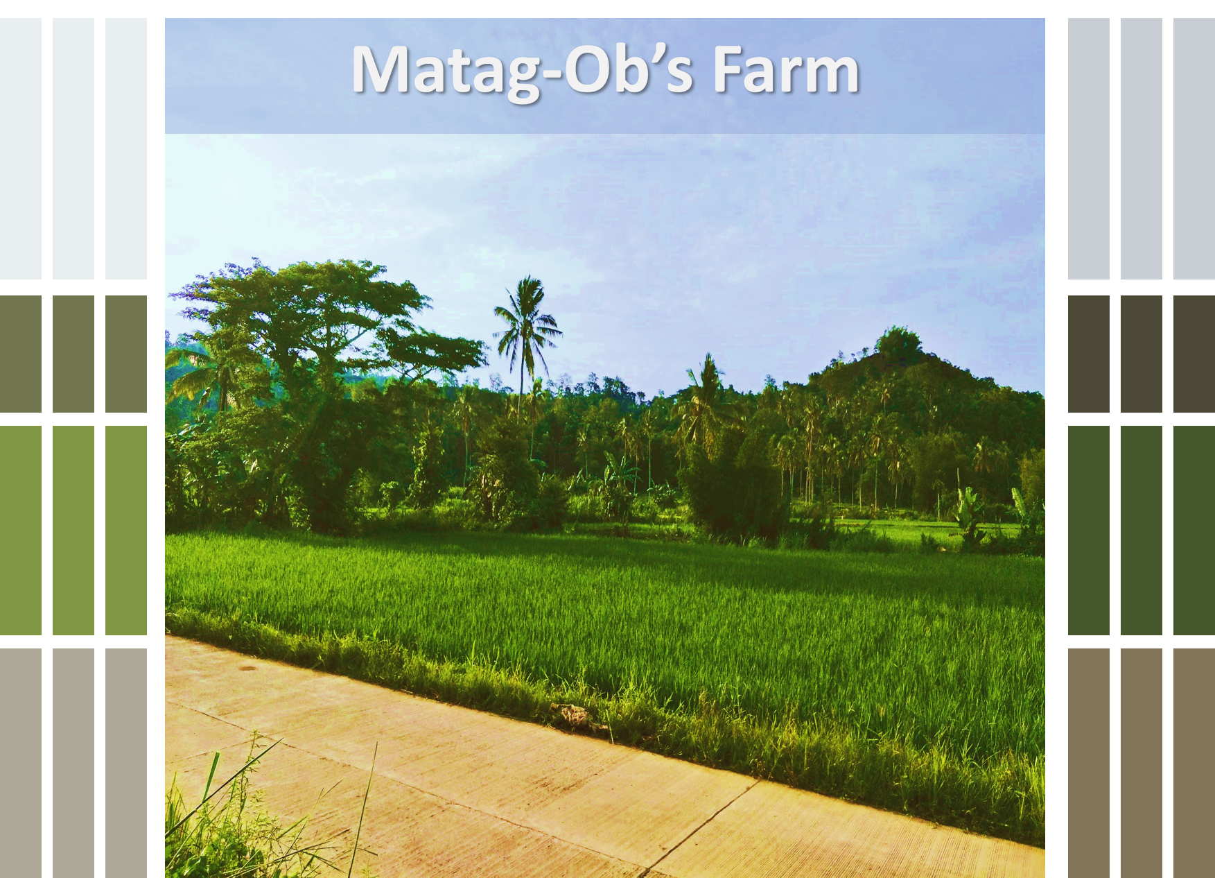 Matag-ob by Villegas-Roxas Consultants - Architizer