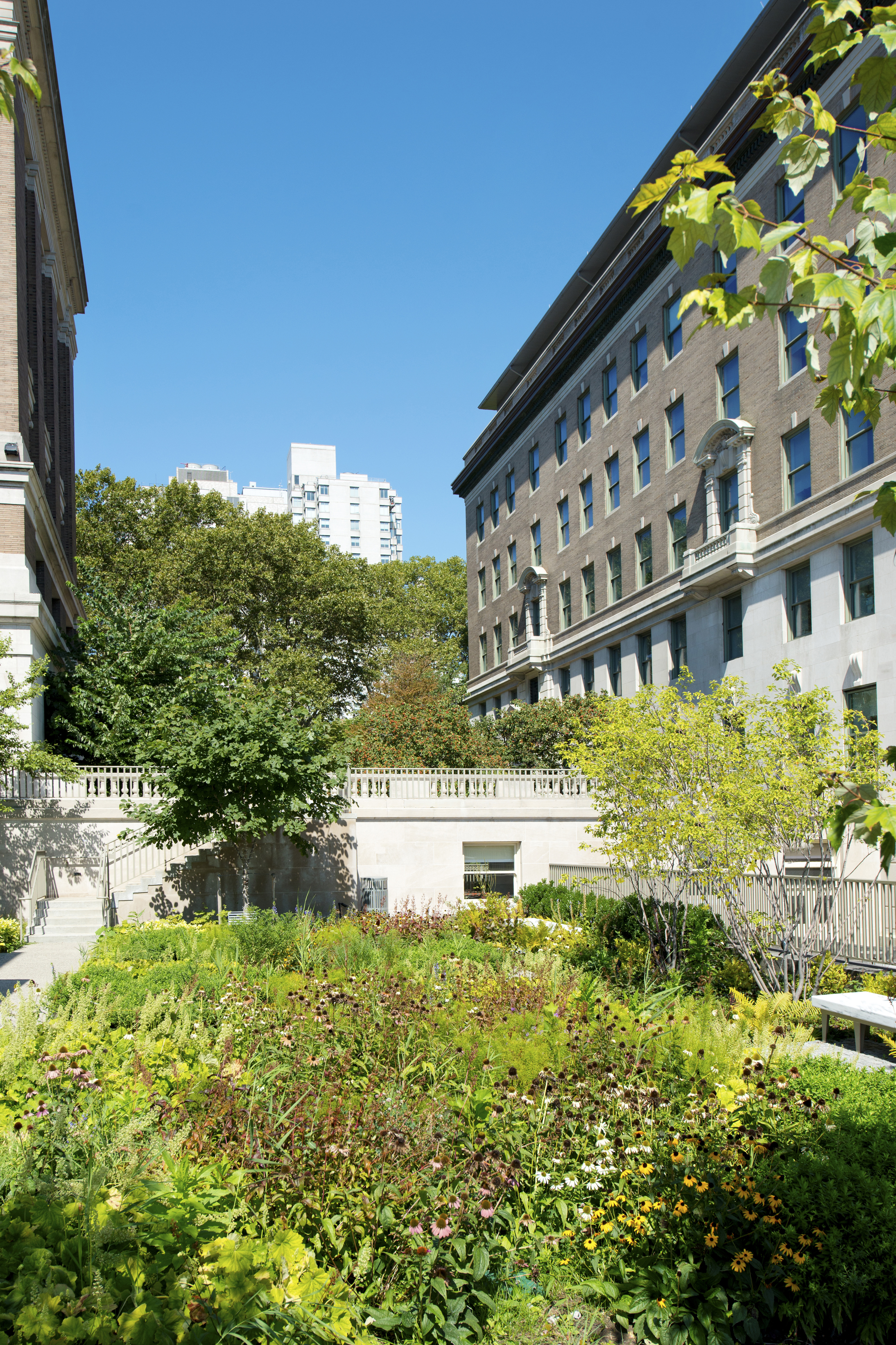 Rockefeller University Welch Hall by Todd Rader + Amy Crews ...