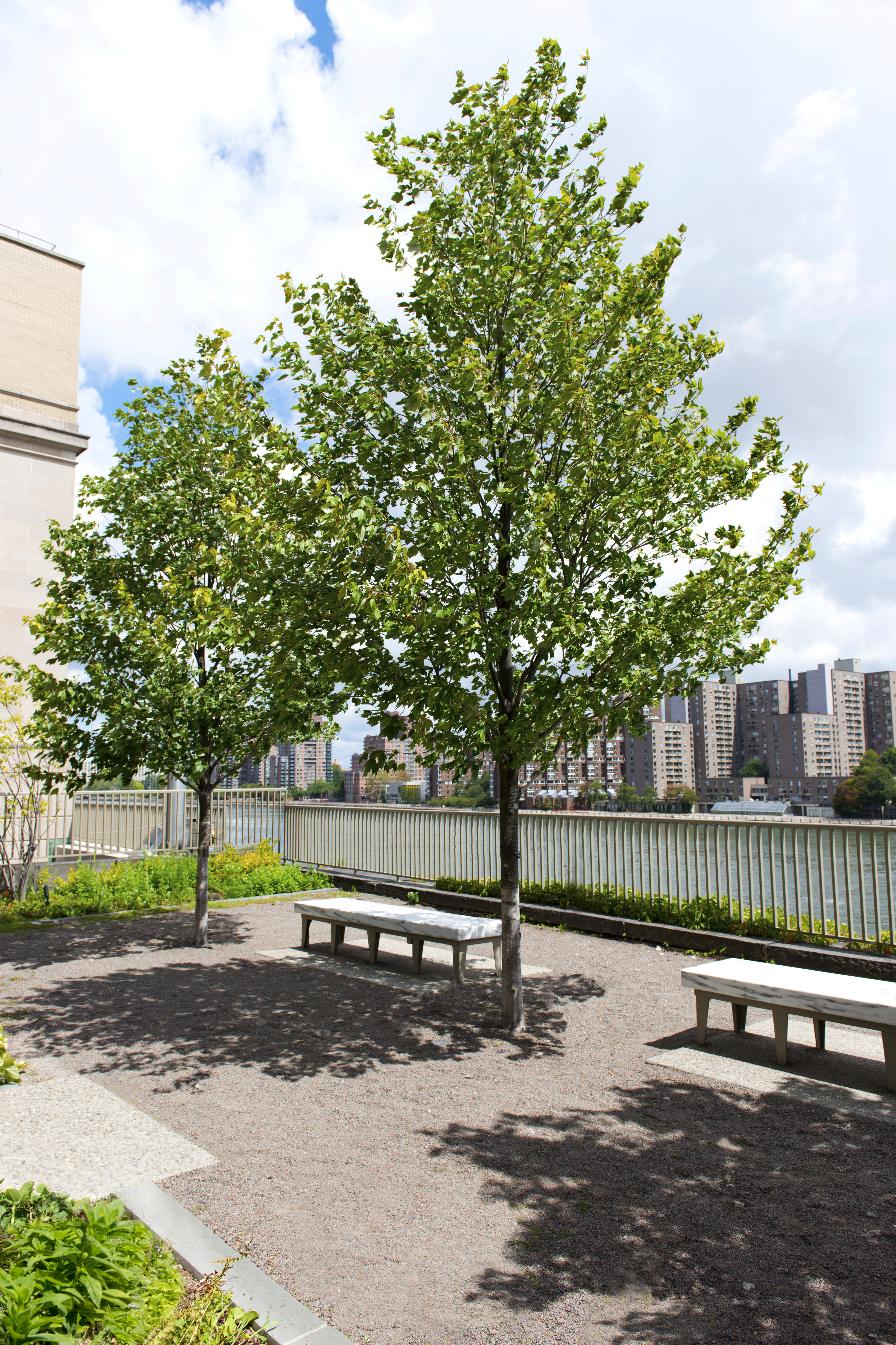 Rockefeller University Welch Hall by Todd Rader + Amy Crews ...