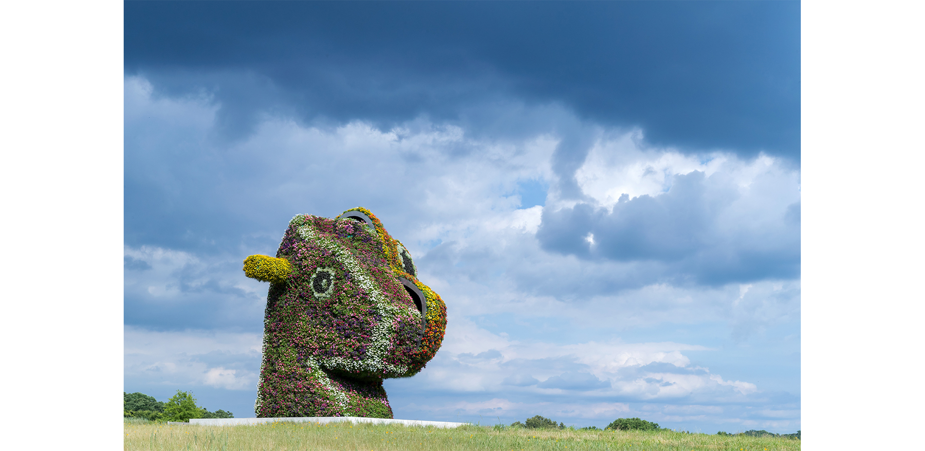 Glenstone Museum by PWP Landscape Architecture - Architizer