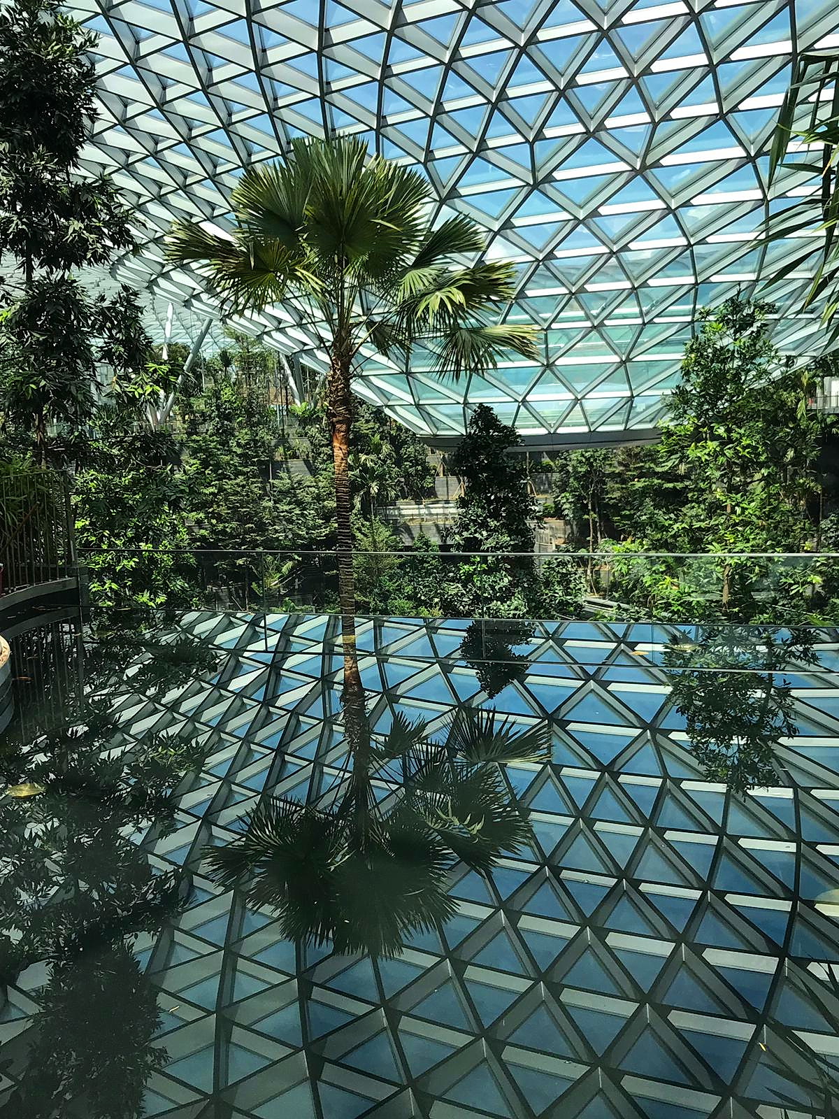 Idea 2808917: Jewel Changi Airport by PWP Landscape Architecture in ...