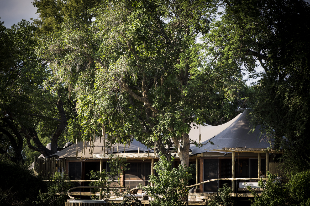 Mombo and Little Mombo by Tenthouse Structures - Architizer