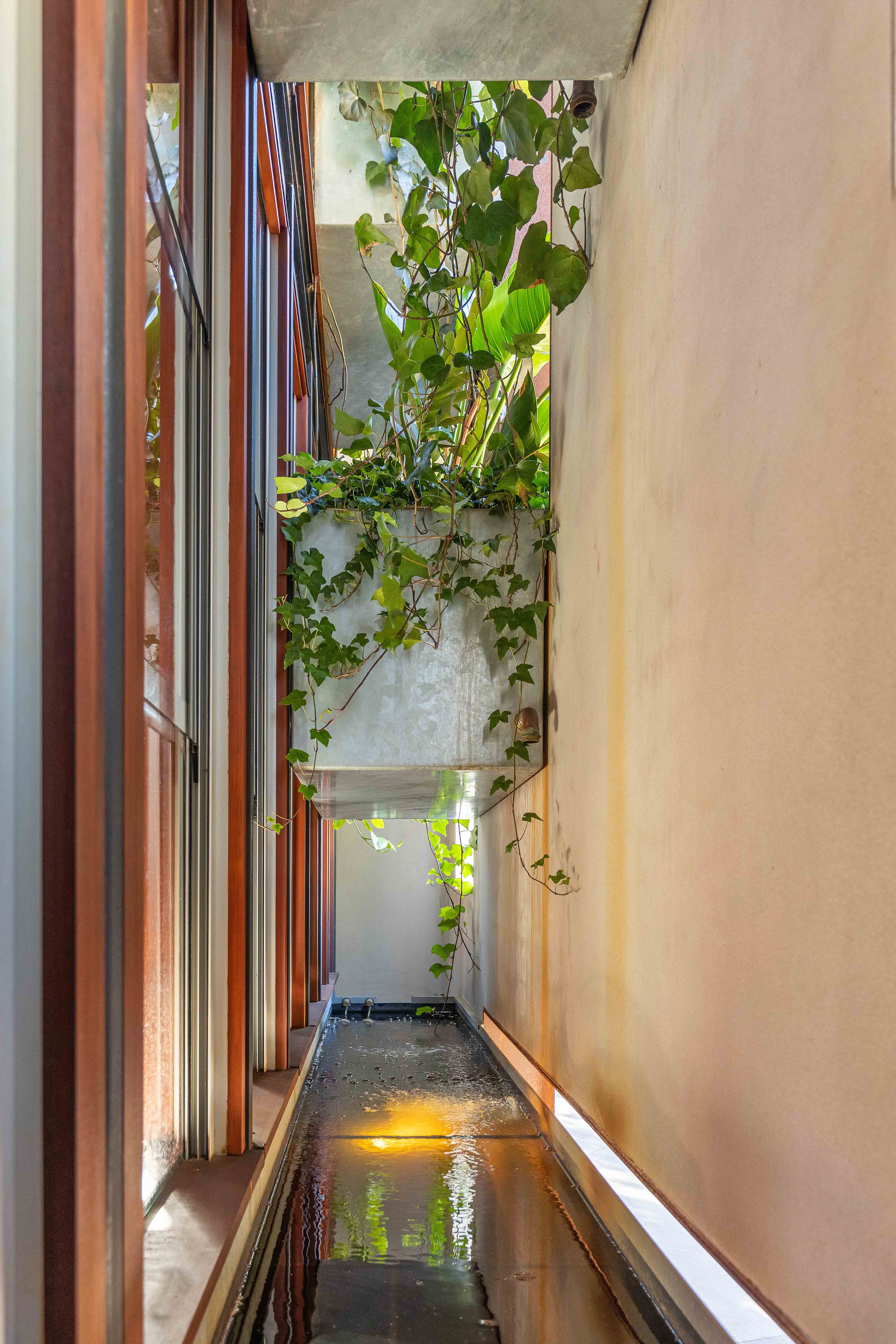 Welcome To The Jungle House by CplusC Architects + Builders - Architizer