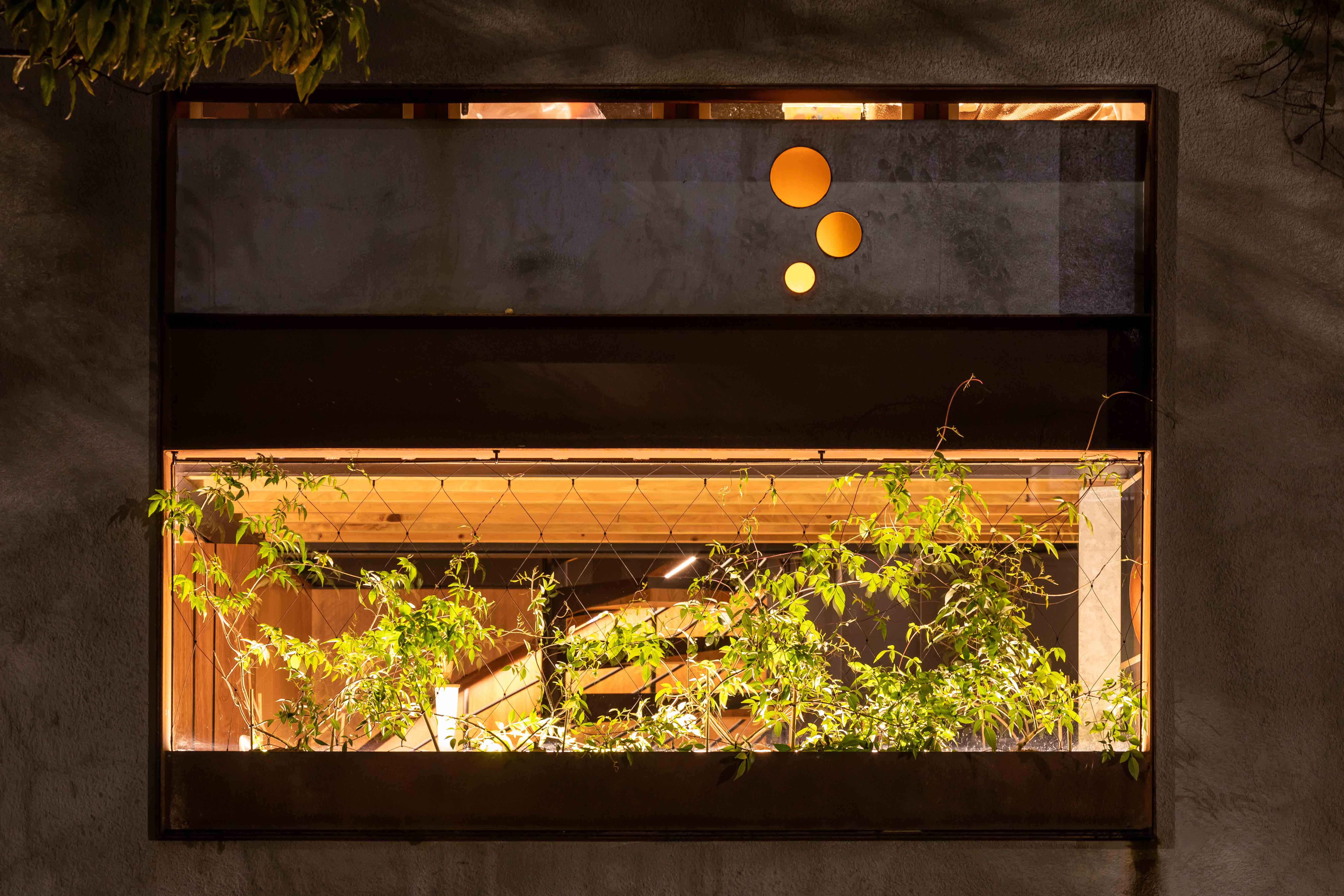 Welcome To The Jungle House by CplusC Architects + Builders - Architizer