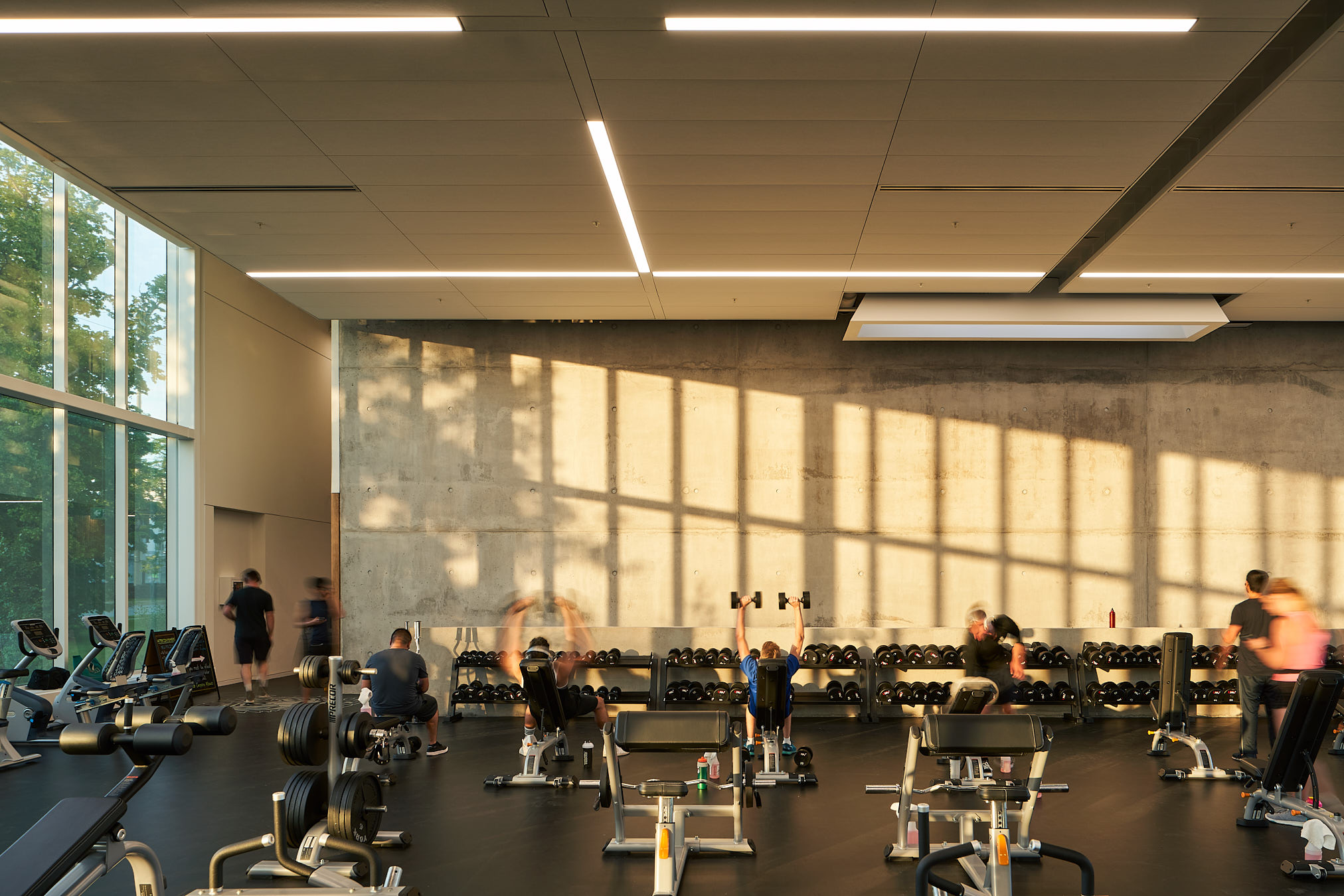 Dalhousie Fitness Centre by FBM - Architizer