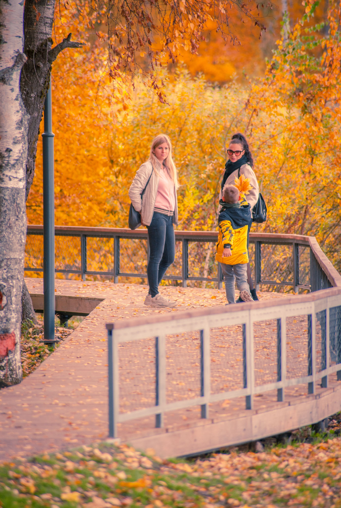 Lake esplanade improvement on Senezh lake, Solnechnogorsk. by Ministry ...