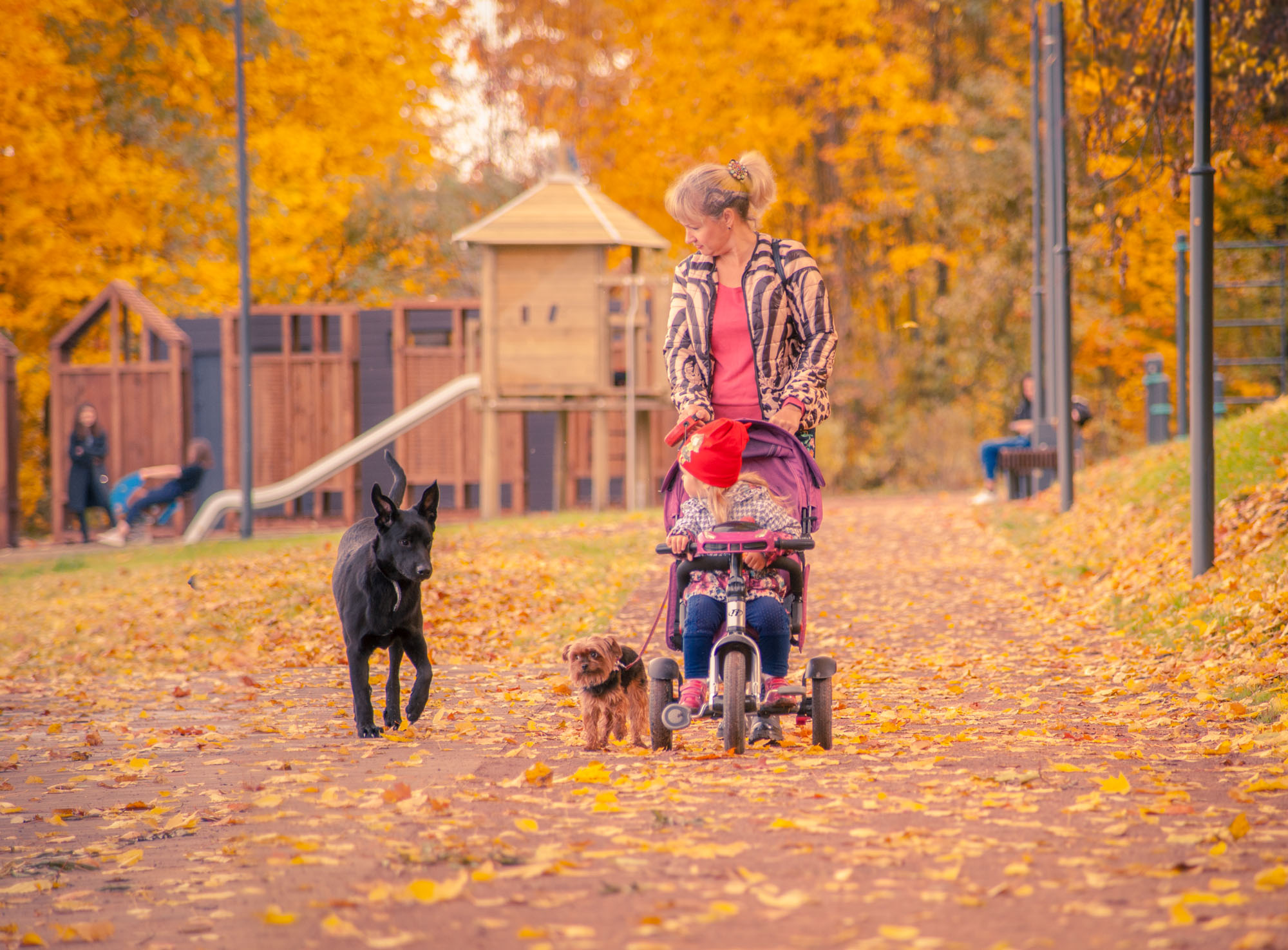 Lake esplanade improvement on Senezh lake, Solnechnogorsk. by Ministry ...
