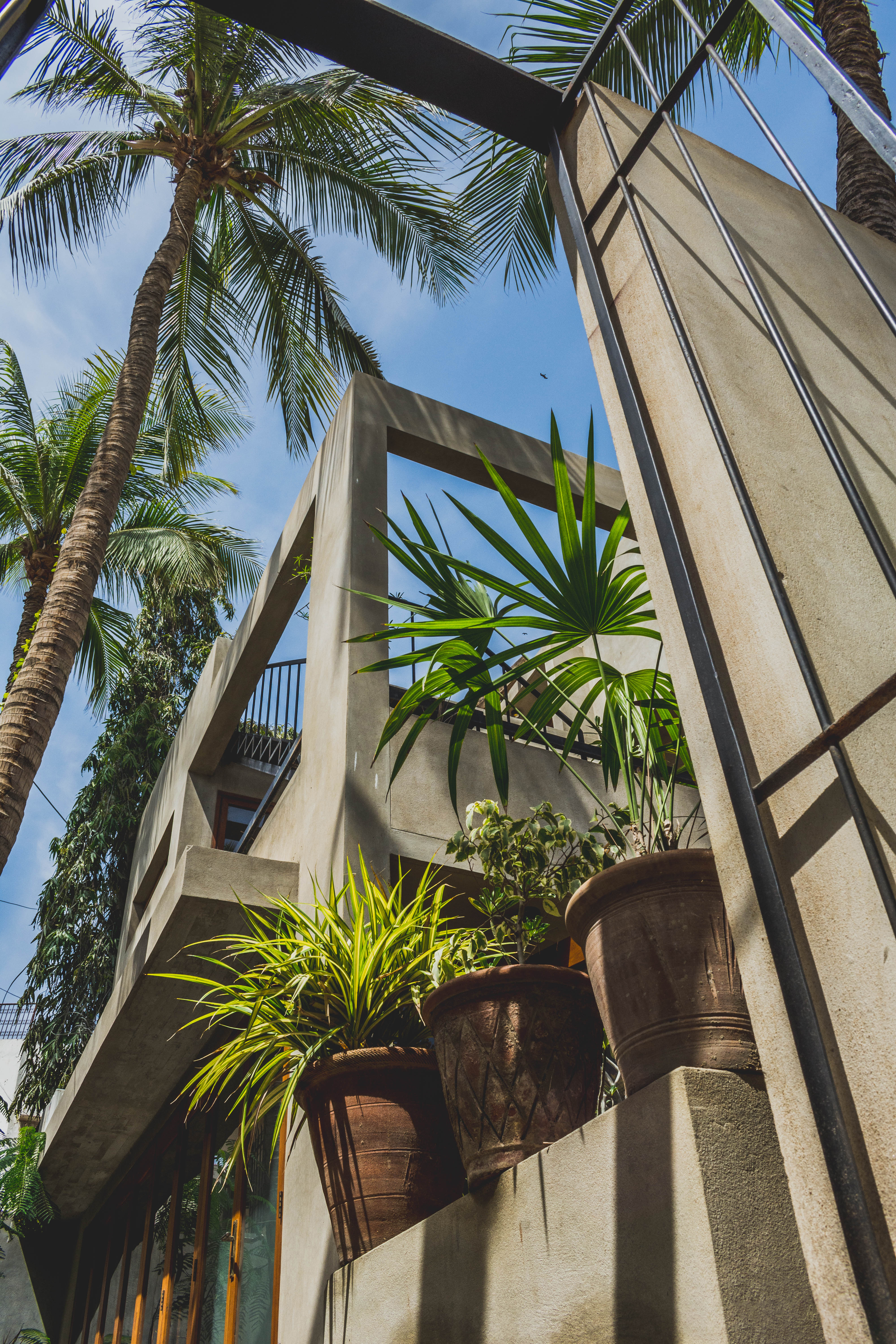 Palm Tree House - | Addition | Extension | Renovation | by Open Door ...