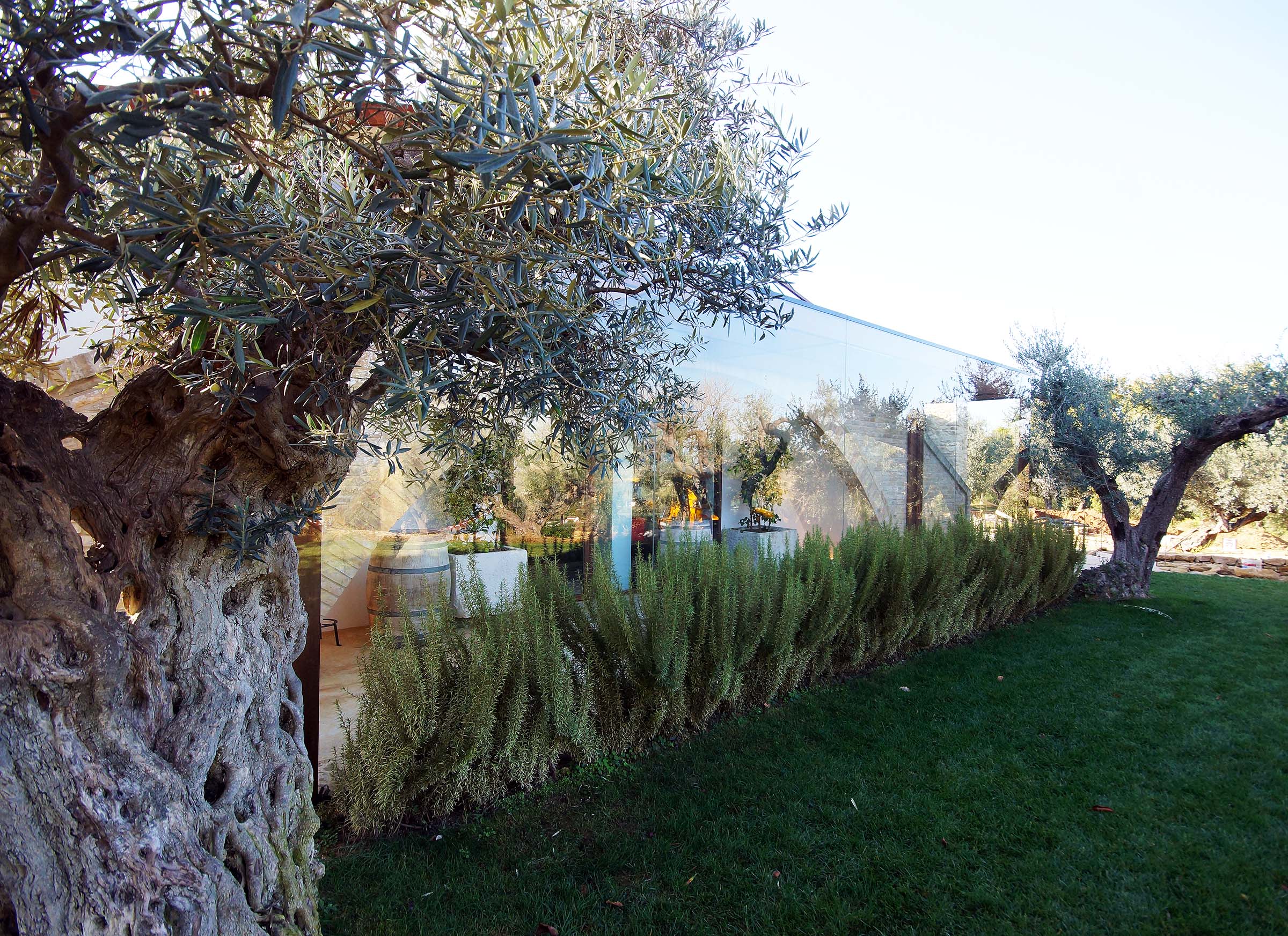 The Tree & The Sky -The Bioclimatic Restaurant by ROCCO VALENTINI ...