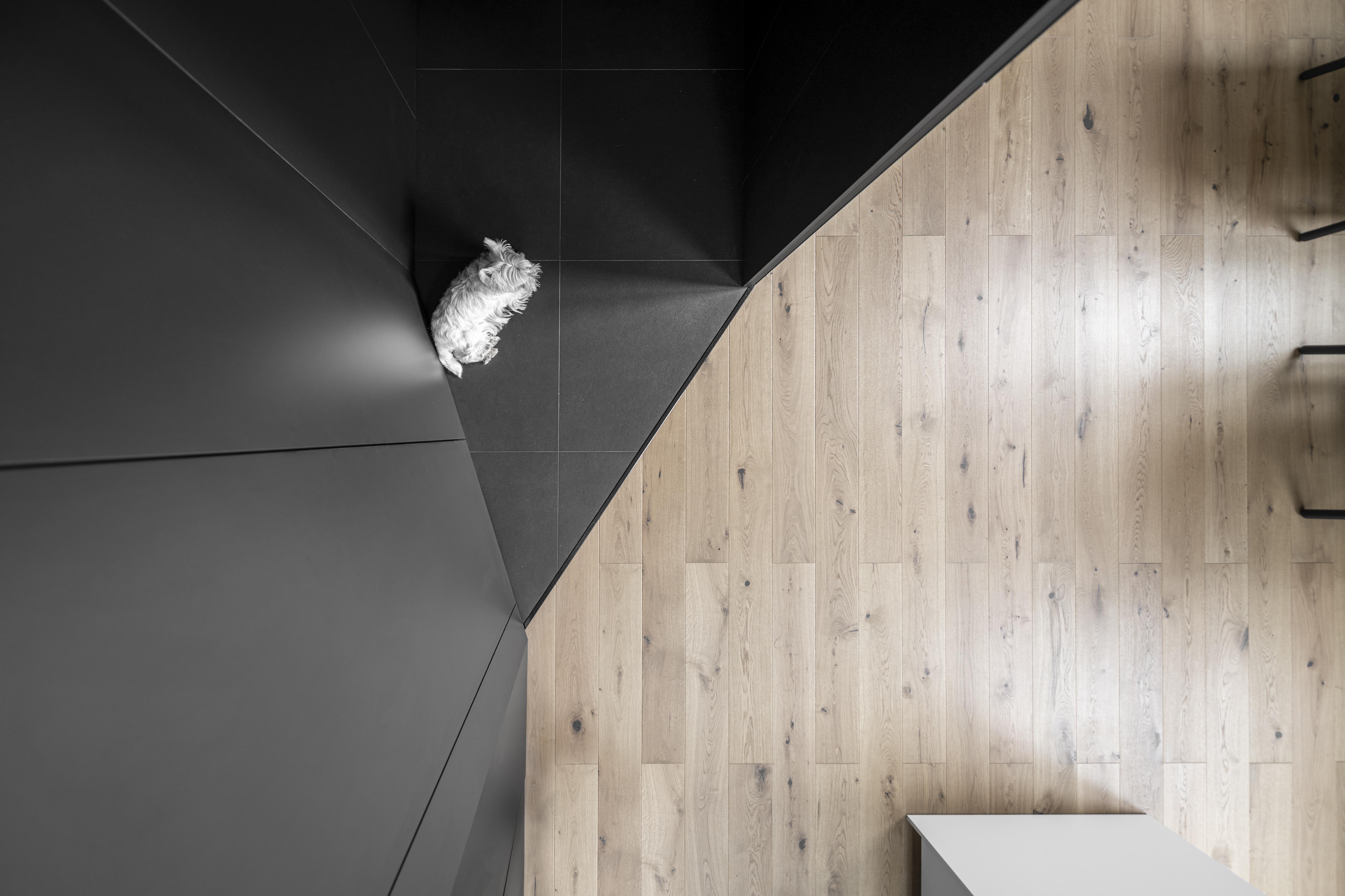 Old Paper House by Devyni Architektai - Architizer