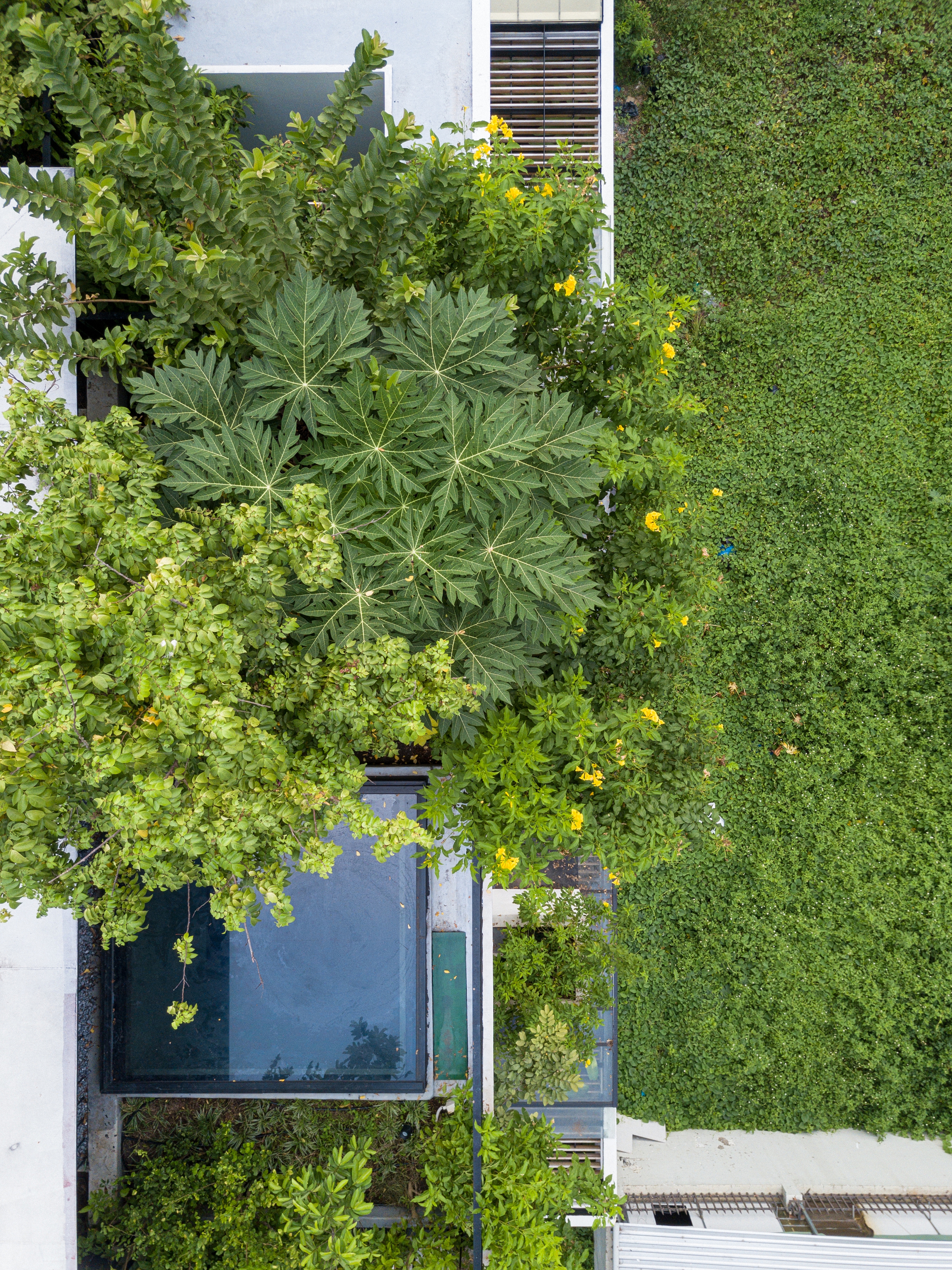 Sky House by MIA Design Studio - Architizer