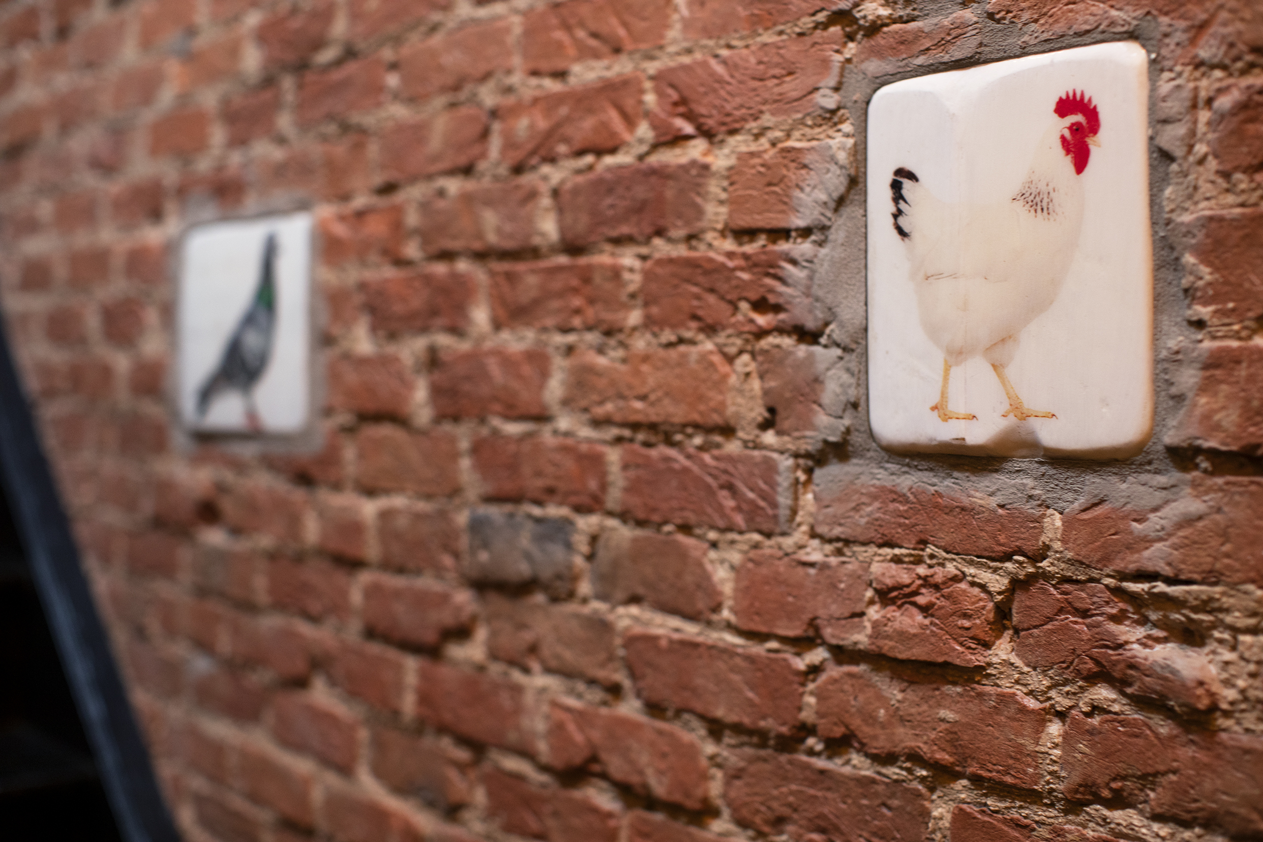 Duo House by VIVA Architecture - Architizer