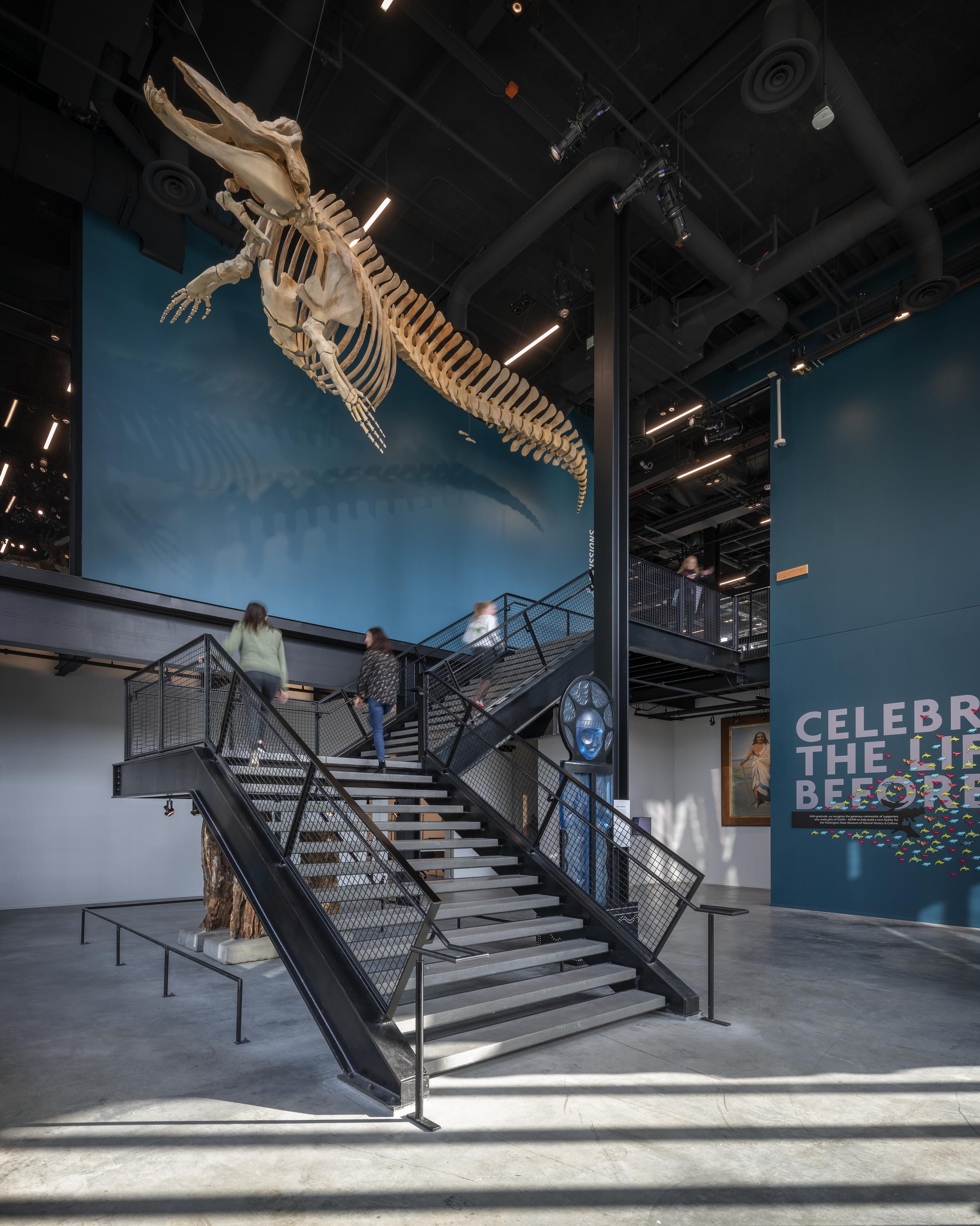 Burke Museum of Natural History and Culture by Olson Kundig - Architizer