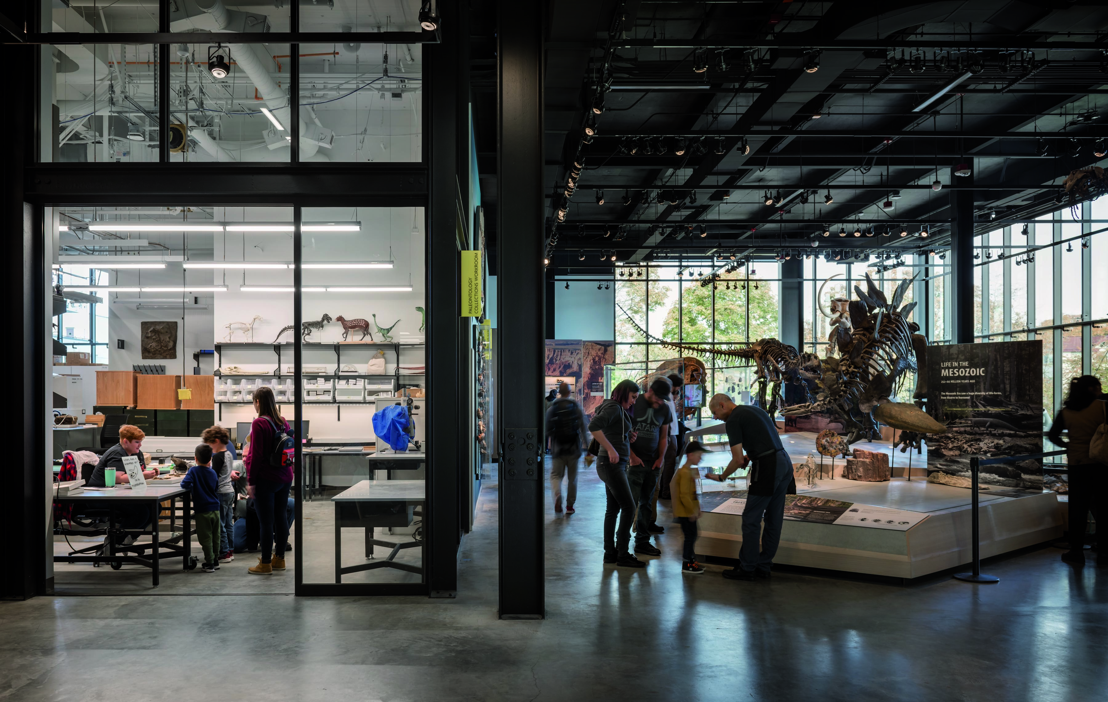 Burke Museum of Natural History and Culture by Olson Kundig - Architizer