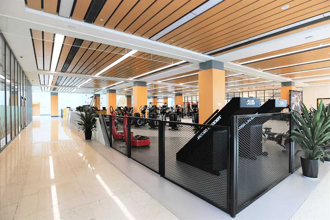 XJTLU South Campus Phase II Sports Complex by GreenbergFarrow ...