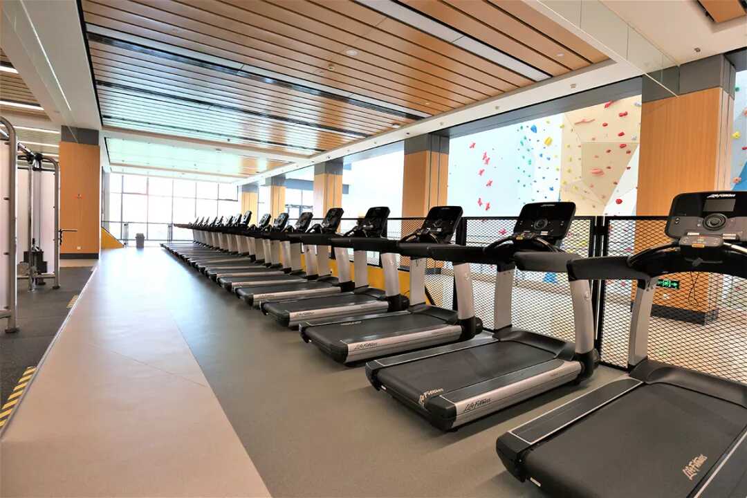 XJTLU South Campus Phase II Sports Complex by GreenbergFarrow ...