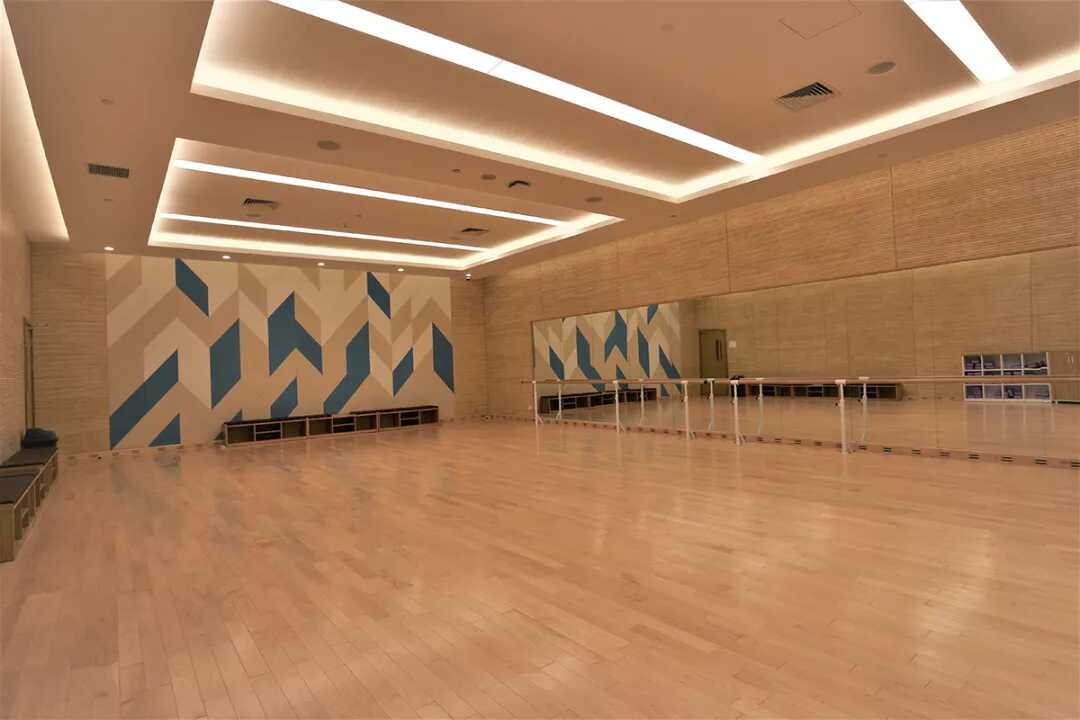 XJTLU South Campus Phase II Sports Complex by GreenbergFarrow ...