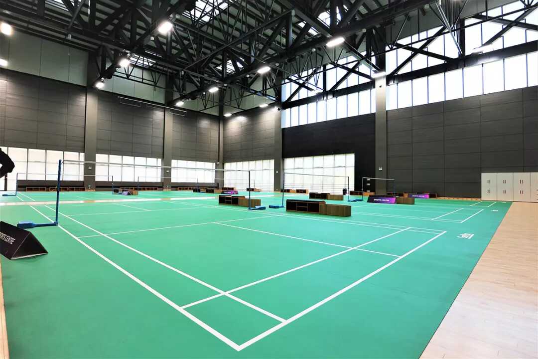 XJTLU South Campus Phase II Sports Complex by GreenbergFarrow ...