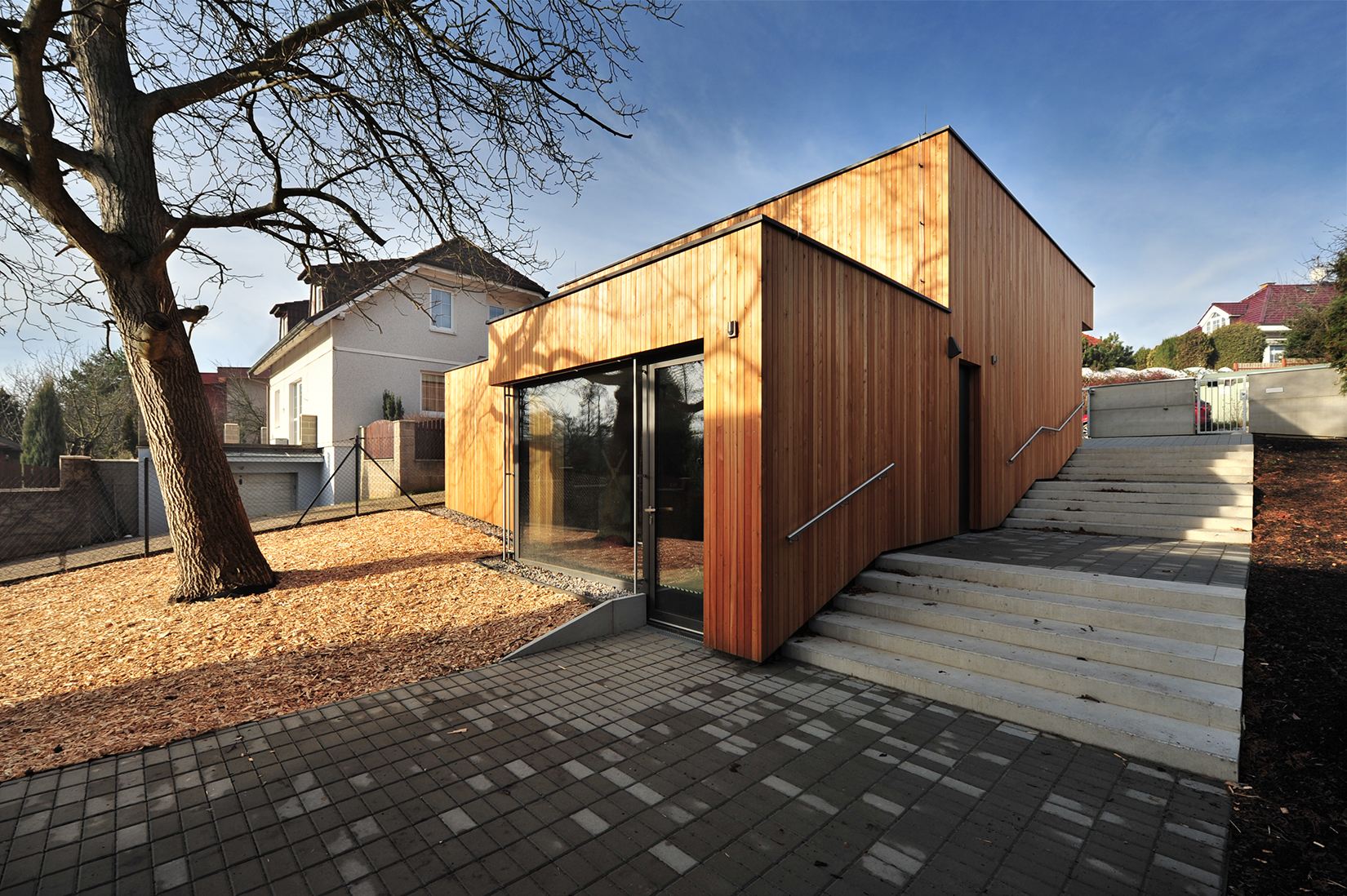 House under a walnut tree by dh architects - Architizer