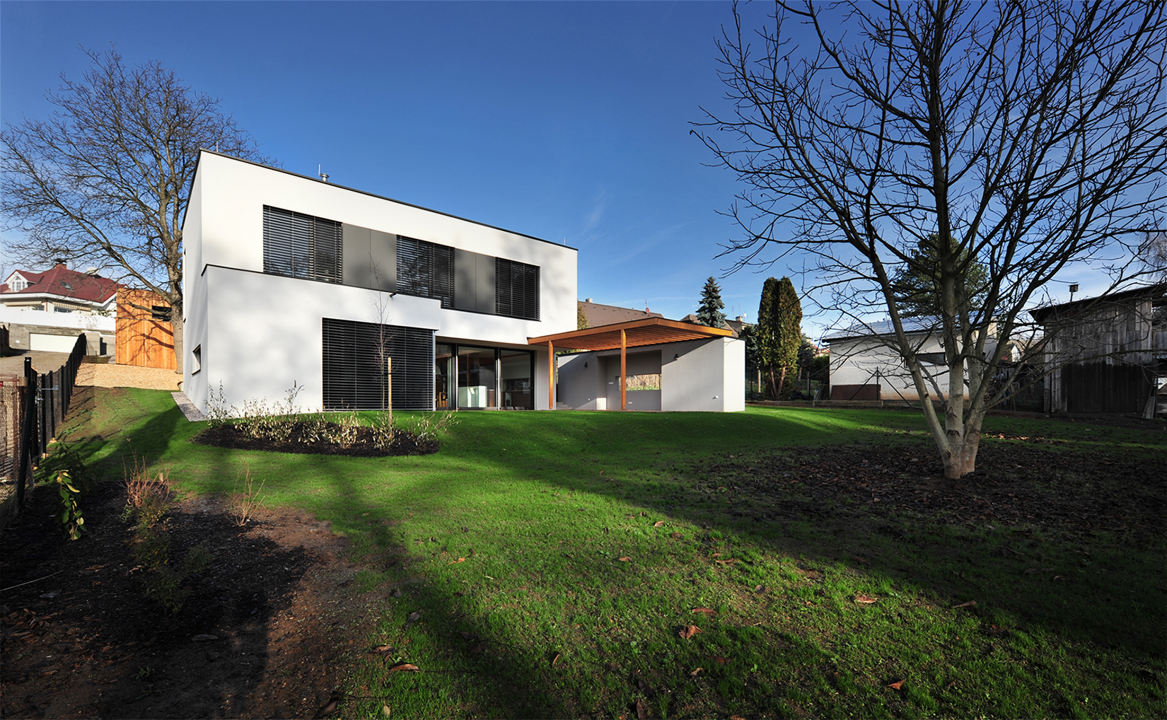 House under a walnut tree by dh architects - Architizer