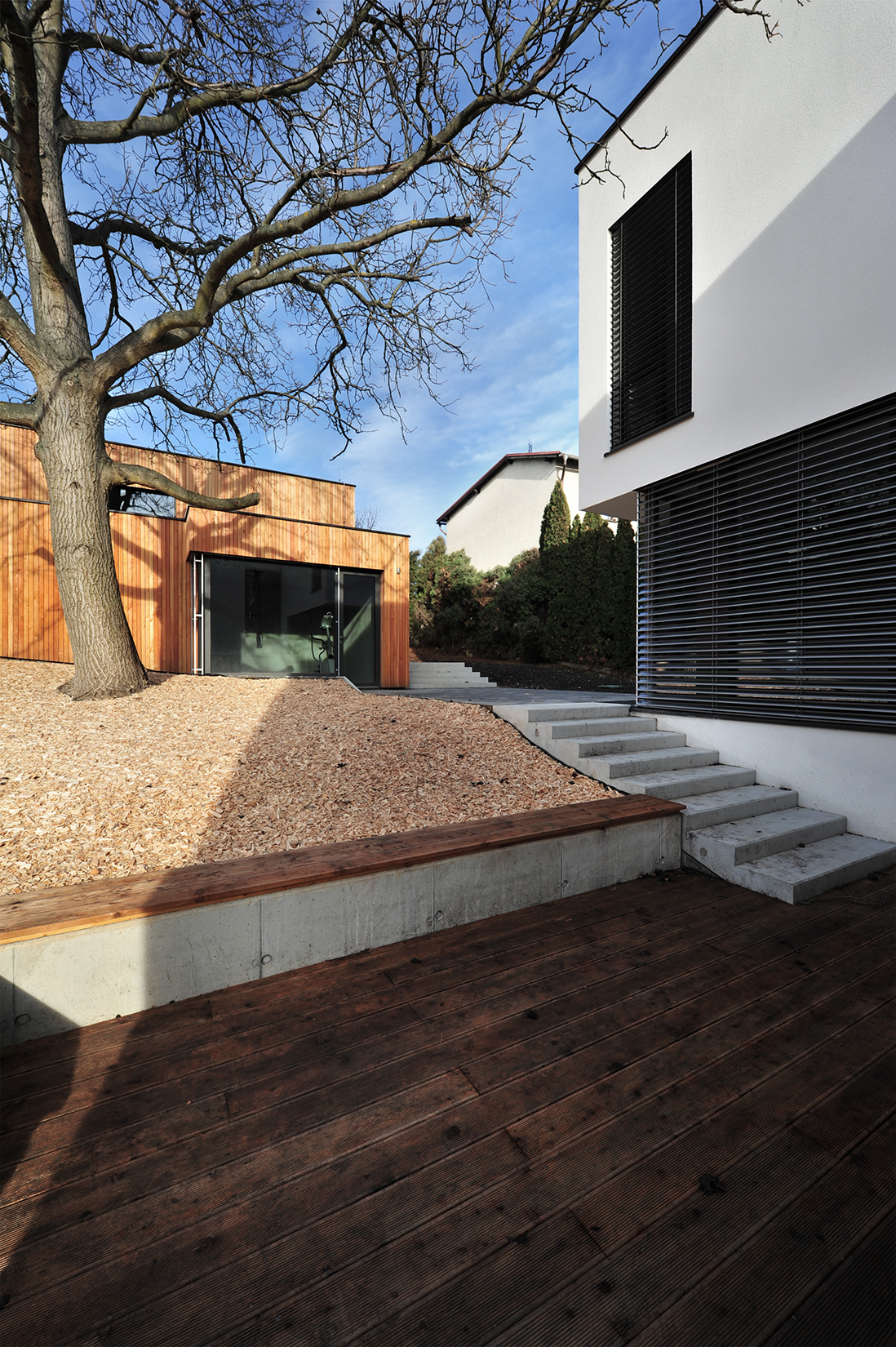 House under a walnut tree by dh architects - Architizer