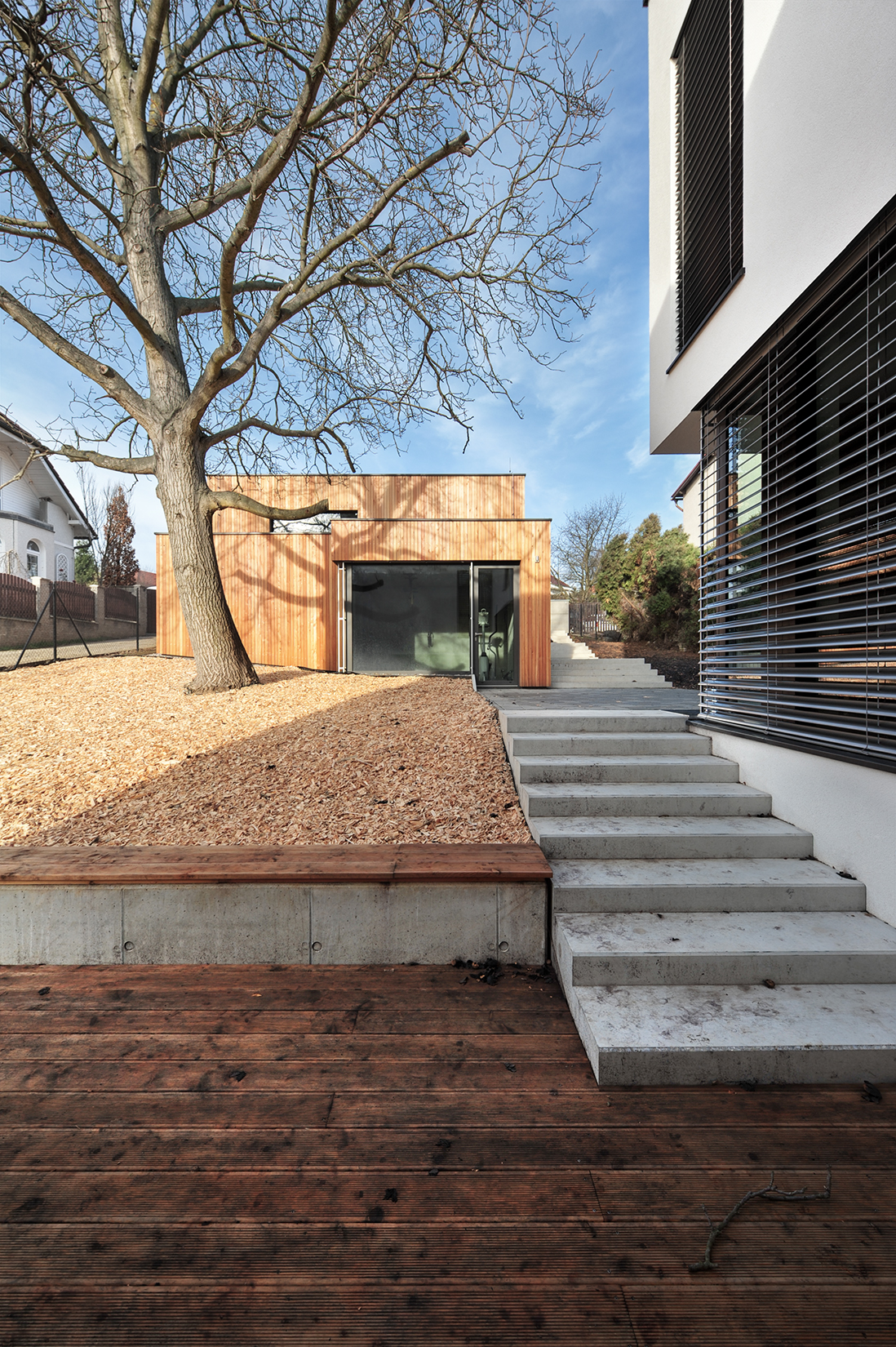 House under a walnut tree by dh architects - Architizer
