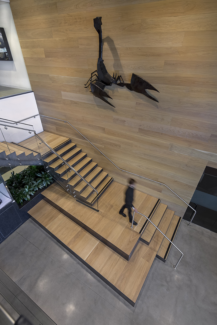 Scorpion Internet Marketing by Wirt Design Group - Architizer