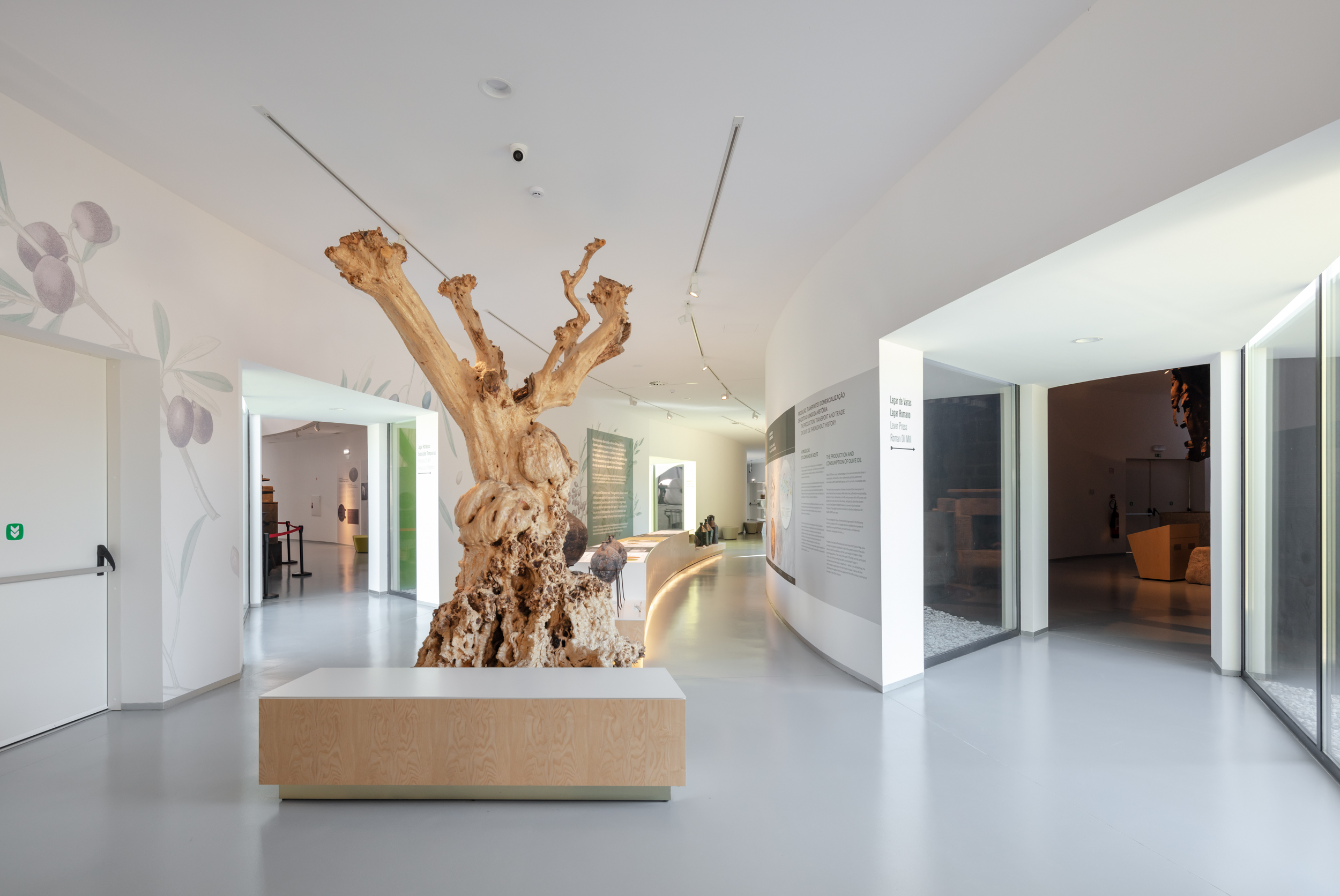 Olive Oil Museum, Oliveira do Hospital by VT - Vasco Teixeira ...