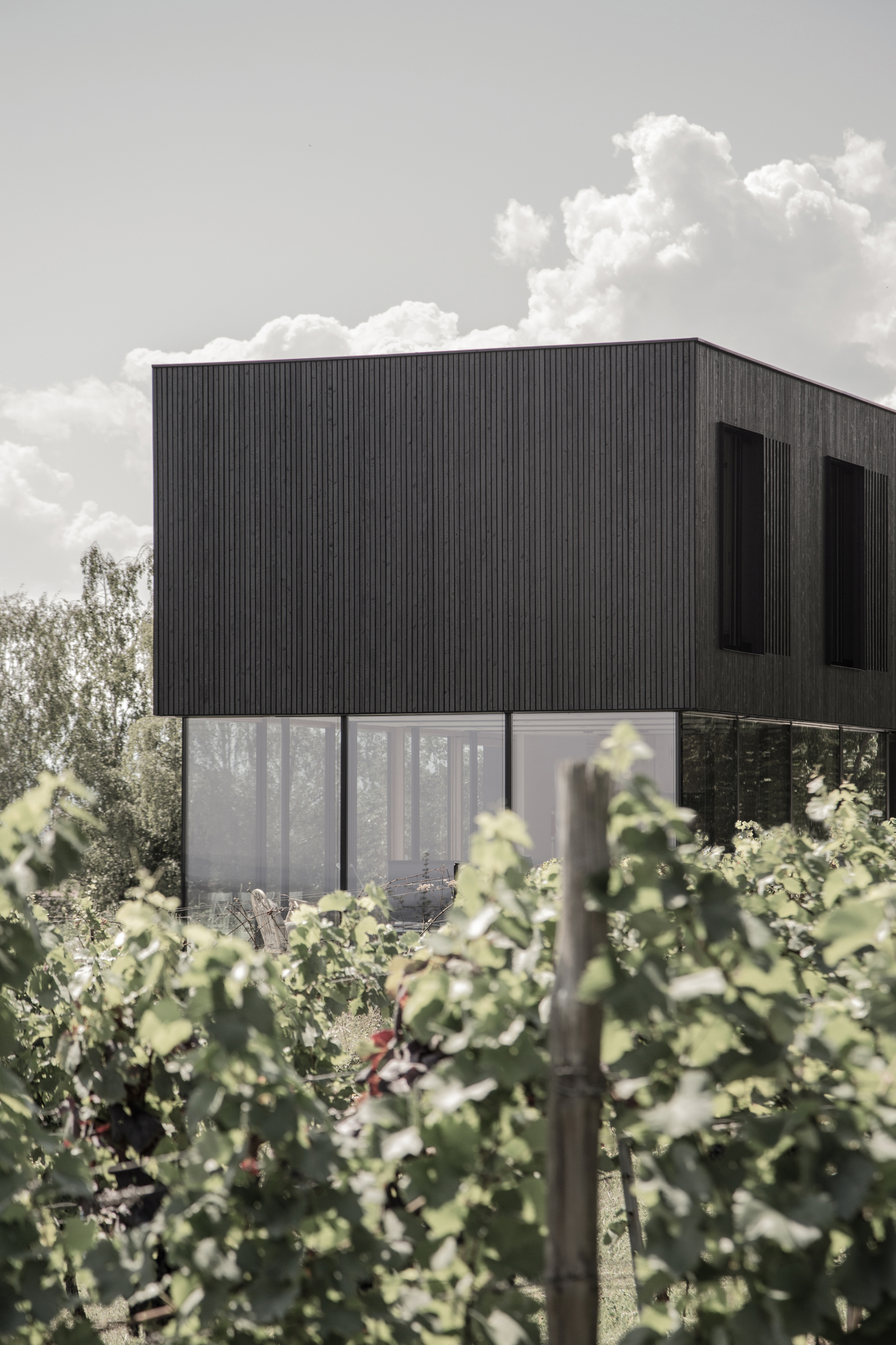 Idea 2926762: AVOS by STEINBAUER architektur+design in Winzendorf ...