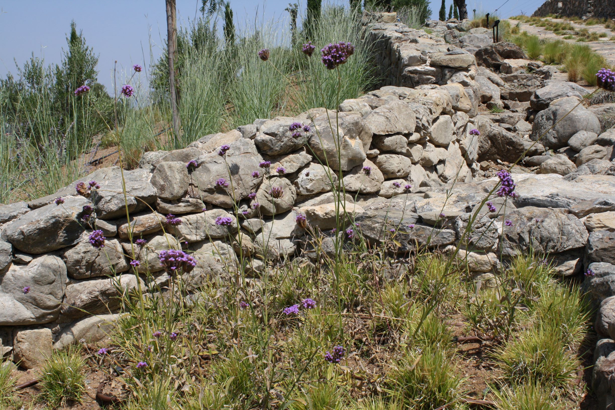 Residential Landscape Design by KTLA Landscape Architects ltd - Architizer