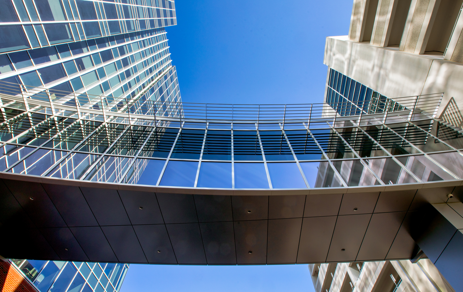 Dollar Tree Store Support Center by Saunders+Crouse Architects, LLC ...