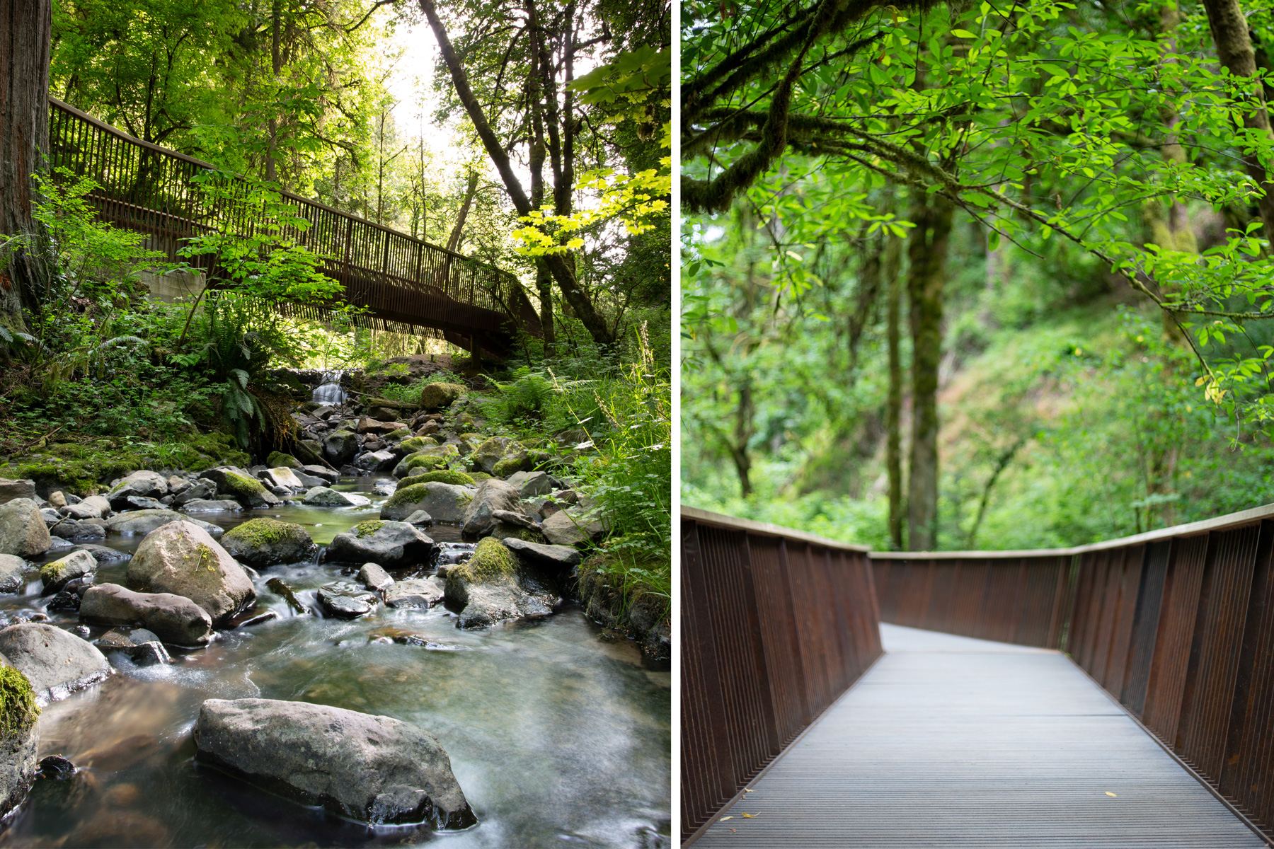 Forest Park Bridges by Fieldwork Design and Architecture - Architizer