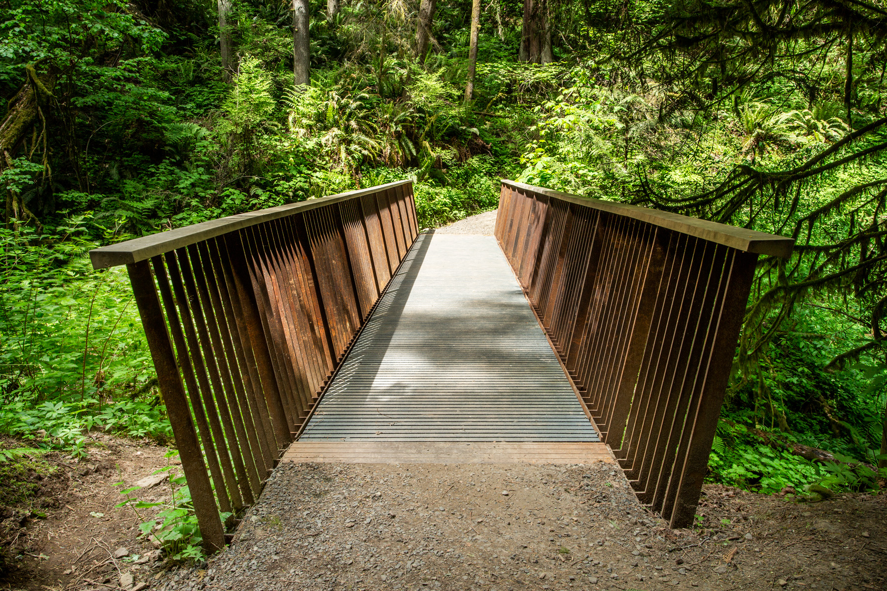 Forest Park Bridges by Fieldwork Design and Architecture - Architizer