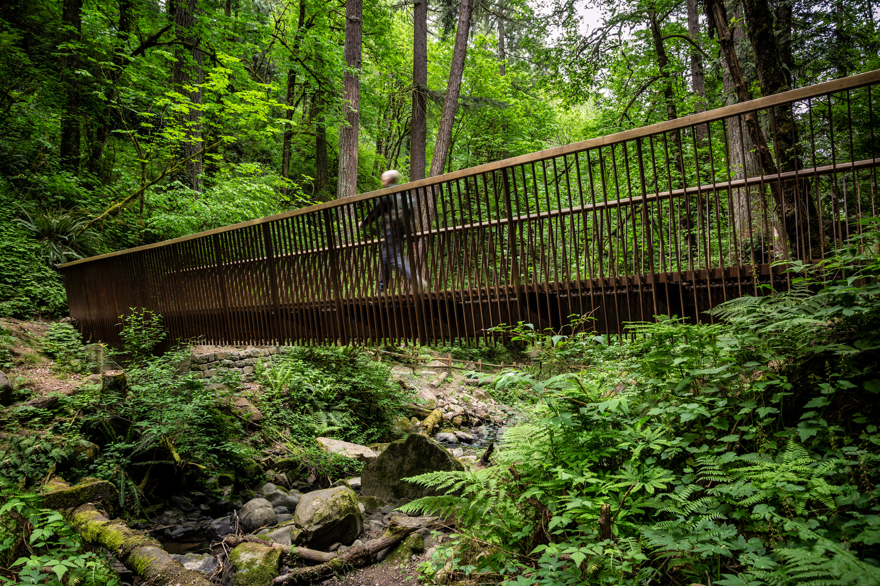 Forest Park Bridges by Fieldwork Design and Architecture - Architizer