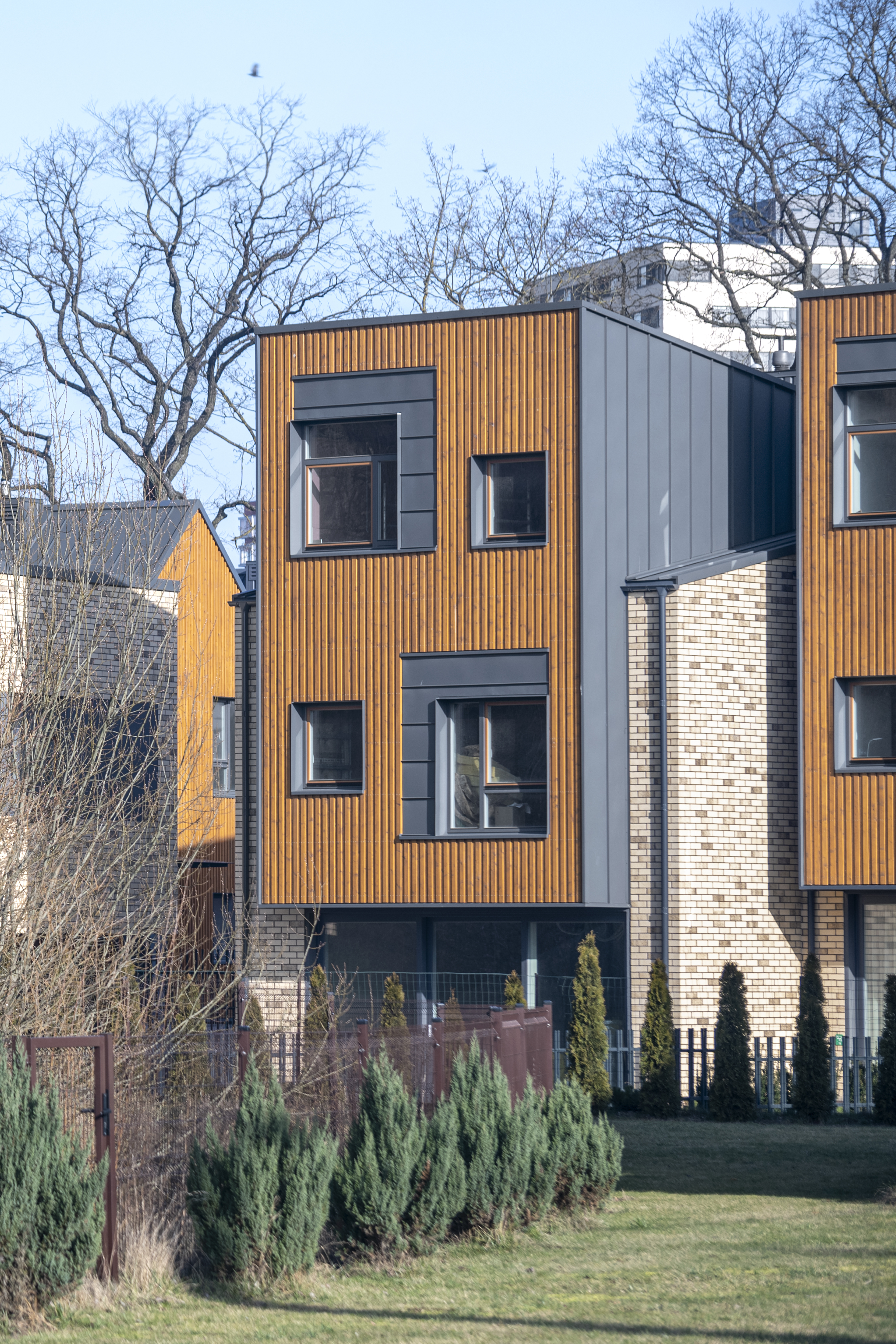 Semi-detached Houses by Devyni Architektai - Architizer