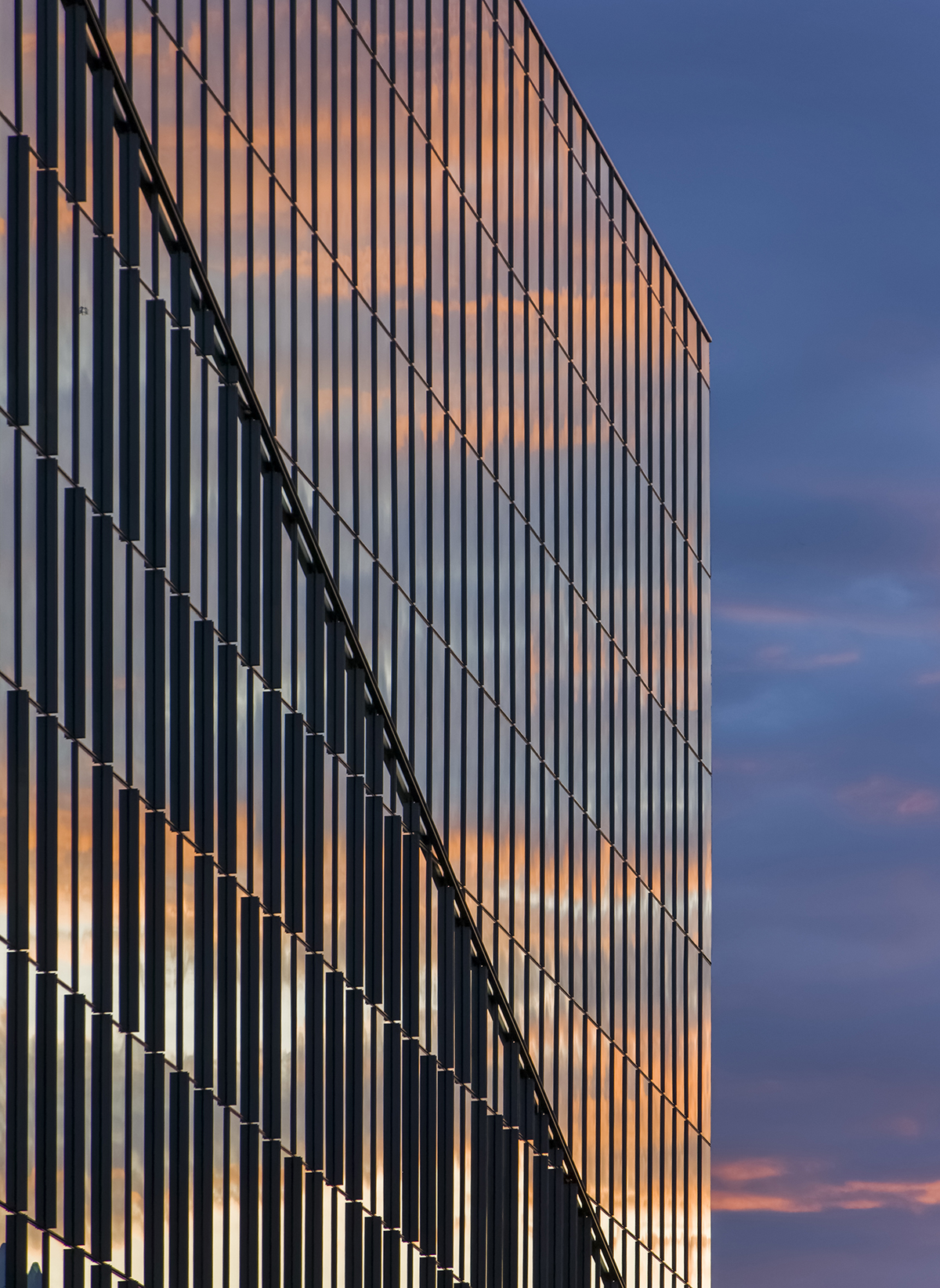 Alexander Court by Pelli Clarke & Partners - Architizer