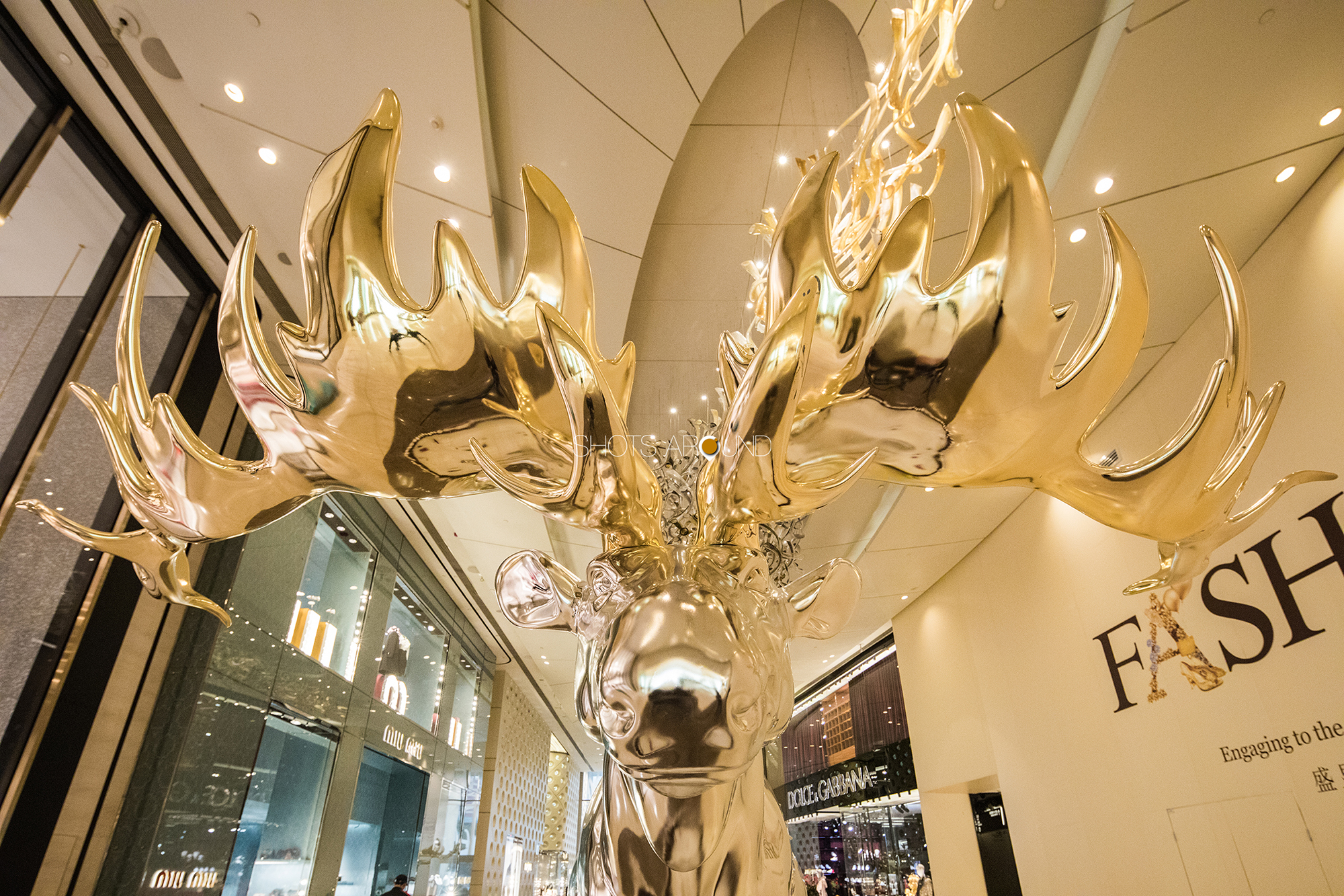 Shanghai IFC (Shop Fronts) by SHOTS AROUND - Architizer