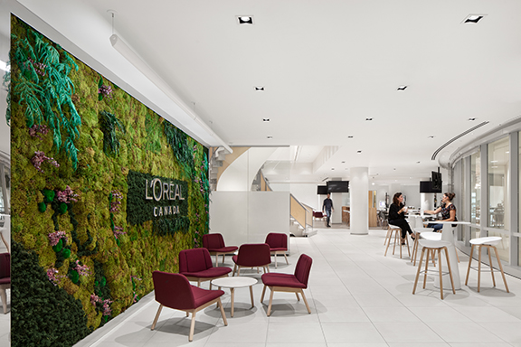 Starbucks Greene & Ste-Catherine by Aedifica architecture + design - Architizer