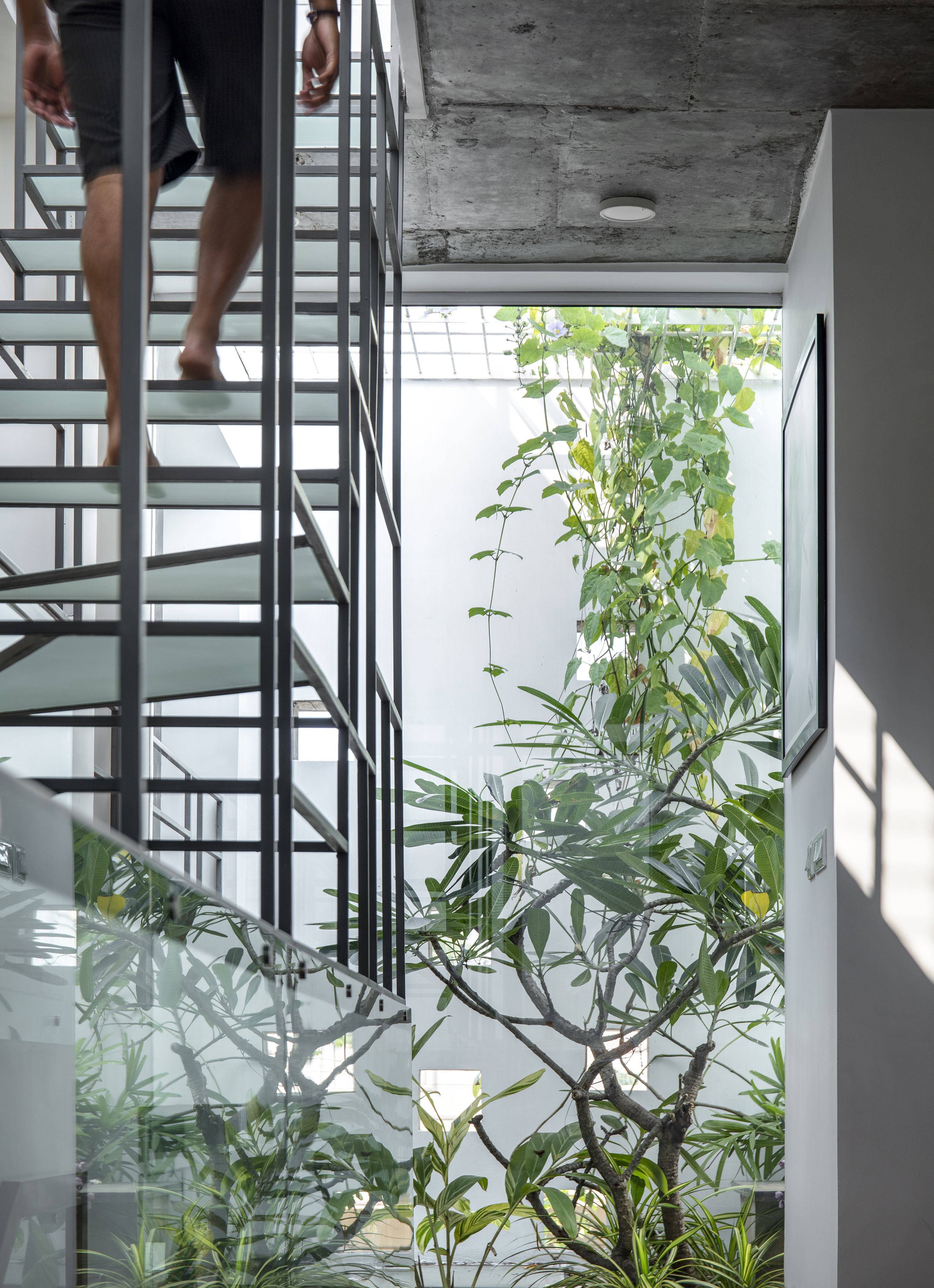 Idea 2968964: Bellary House by Gaurav Roy Choudhury Architects in ...