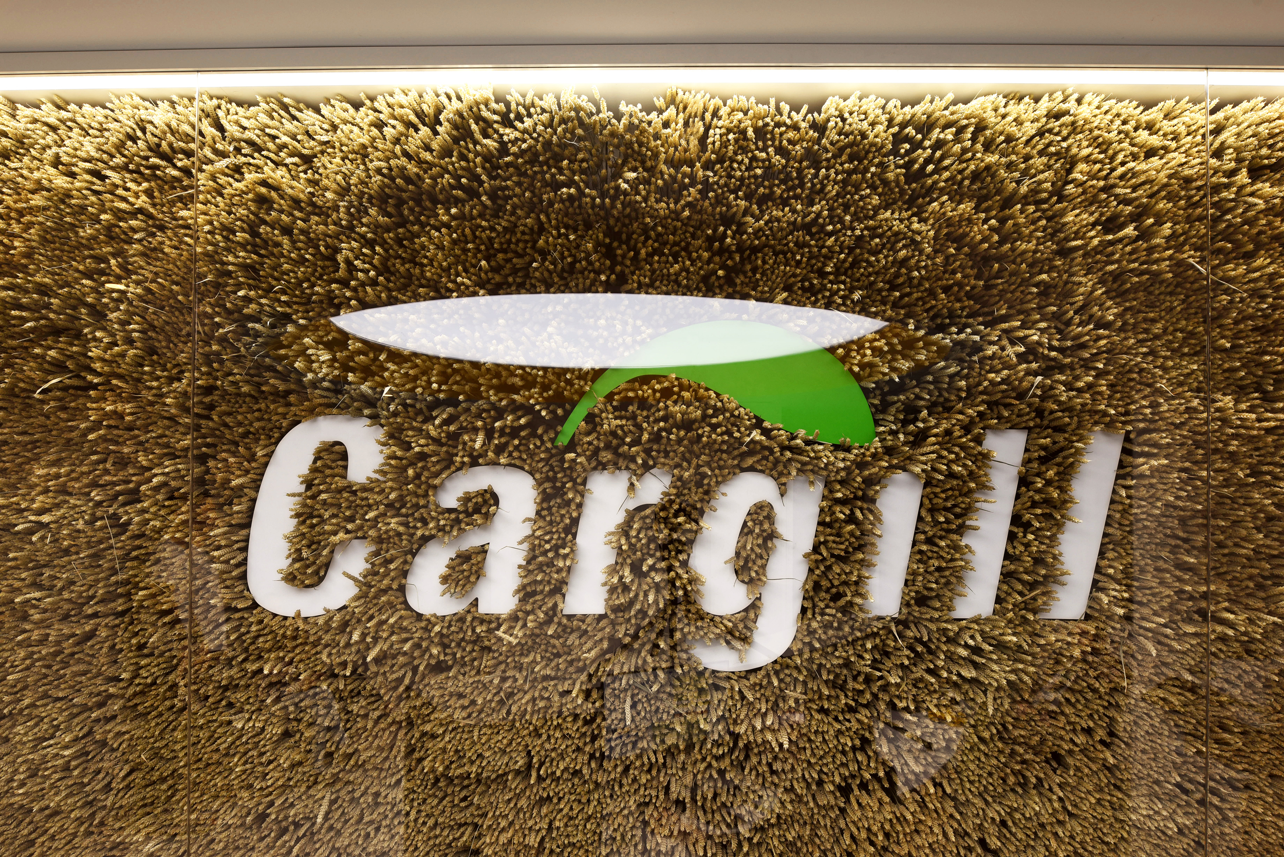 Cargill office by MAD Architects by MAD Architects - Architizer