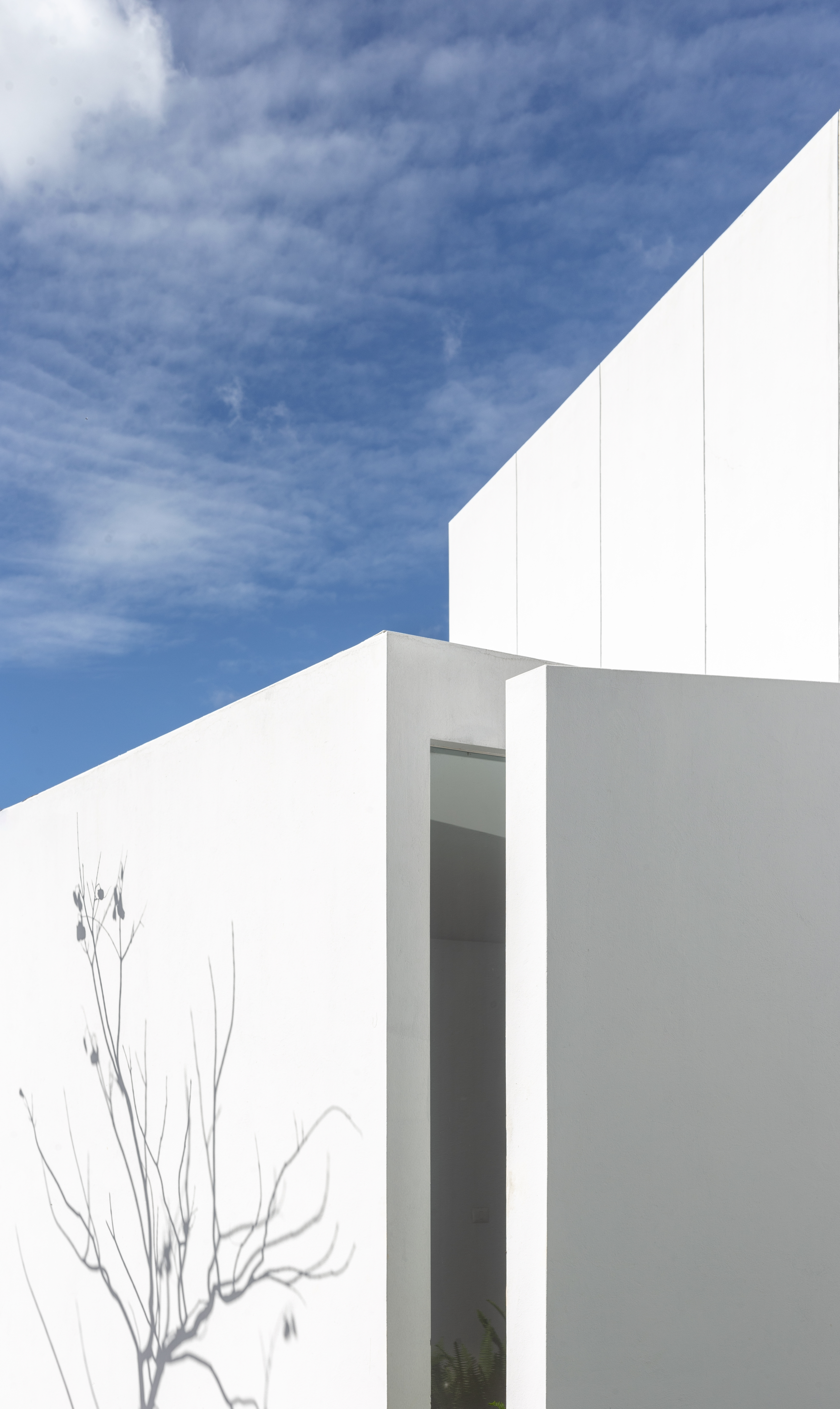 San Antonio House by Jaime Juarez Arquitecto - Architizer