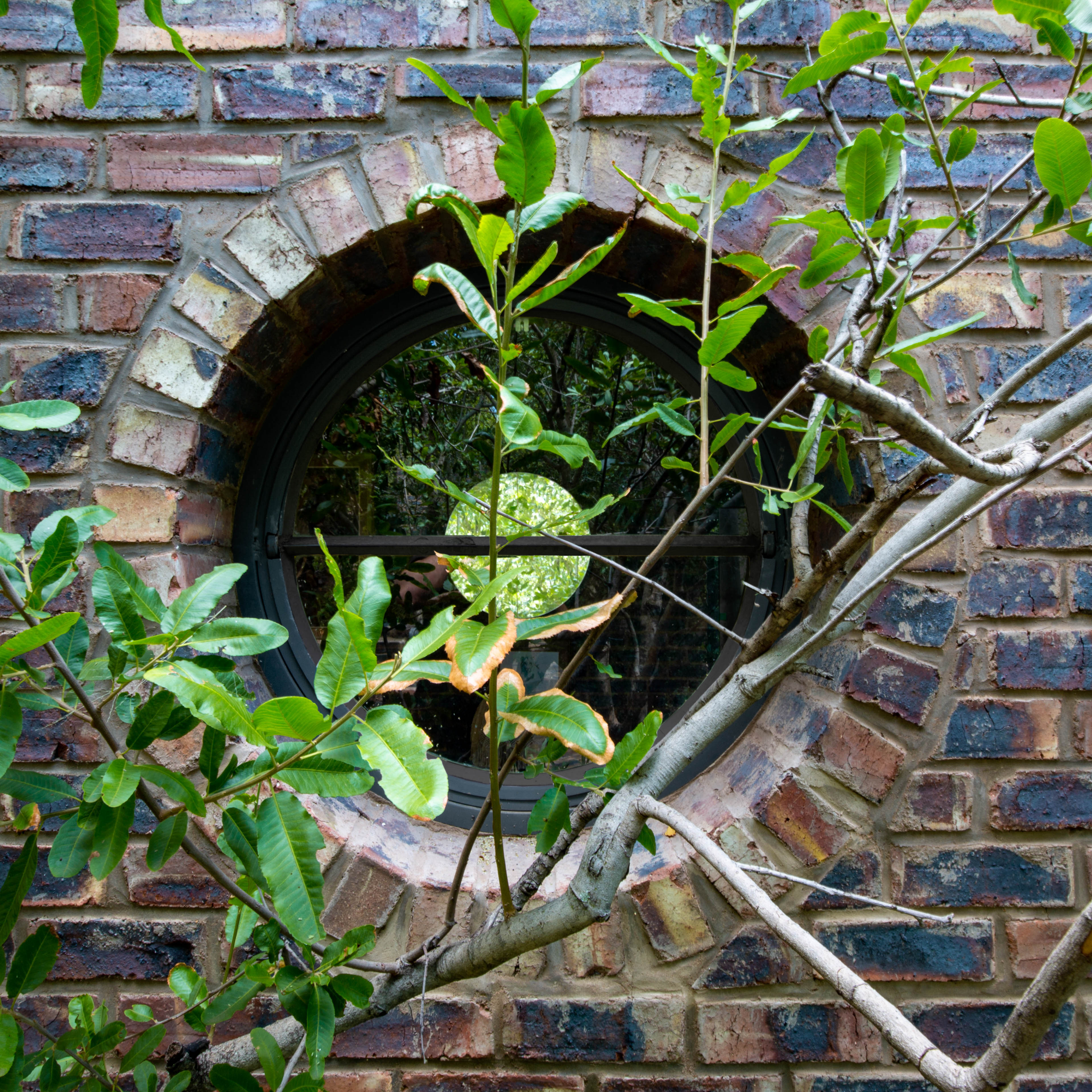 House of the Big Arch by FrankiePappas - Architizer