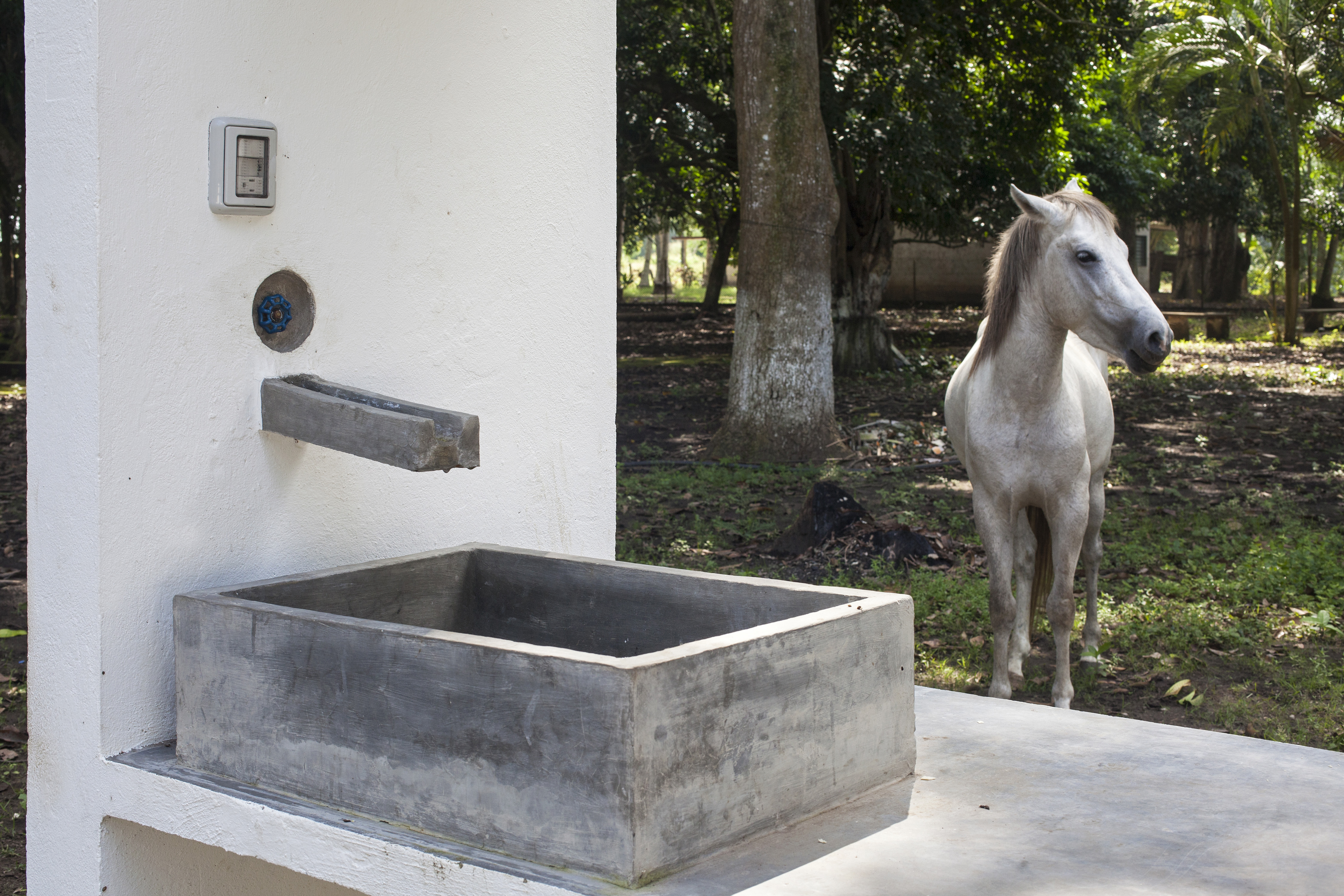 PATRICK by OBRA BLANCA - Architizer