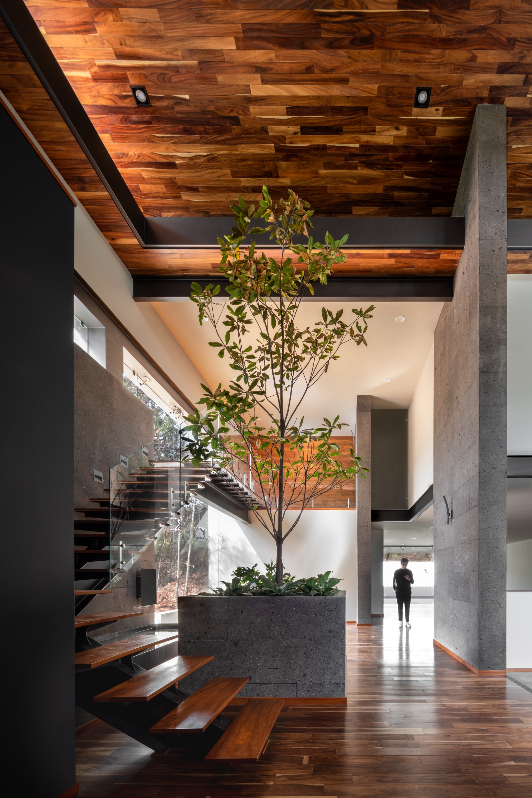 HOUSE BETWEEN PINE TREES by Infante Arquitectos - Architizer