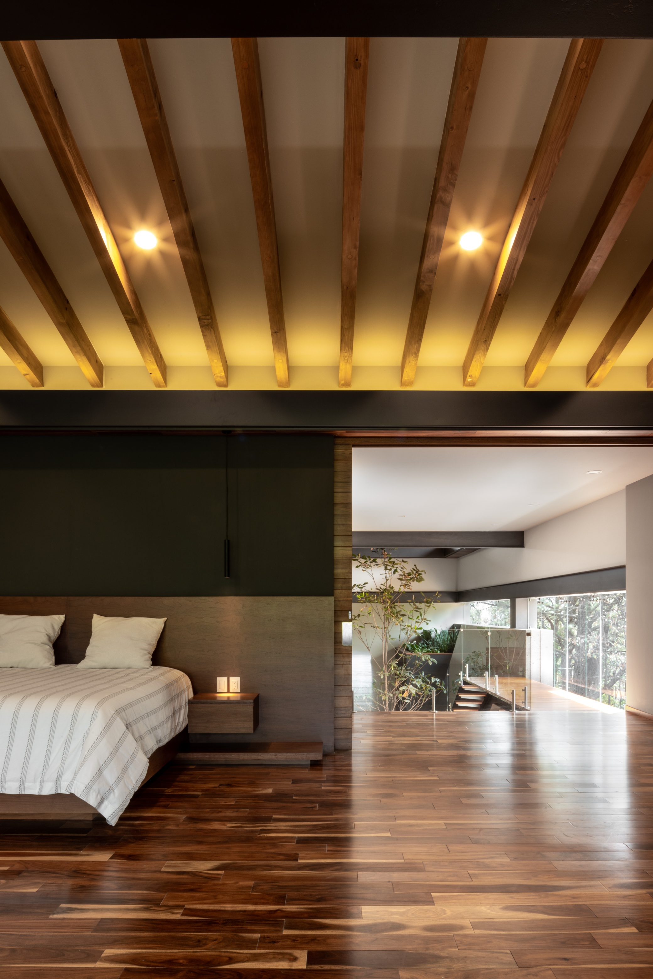 HOUSE BETWEEN PINE TREES by Infante Arquitectos - Architizer
