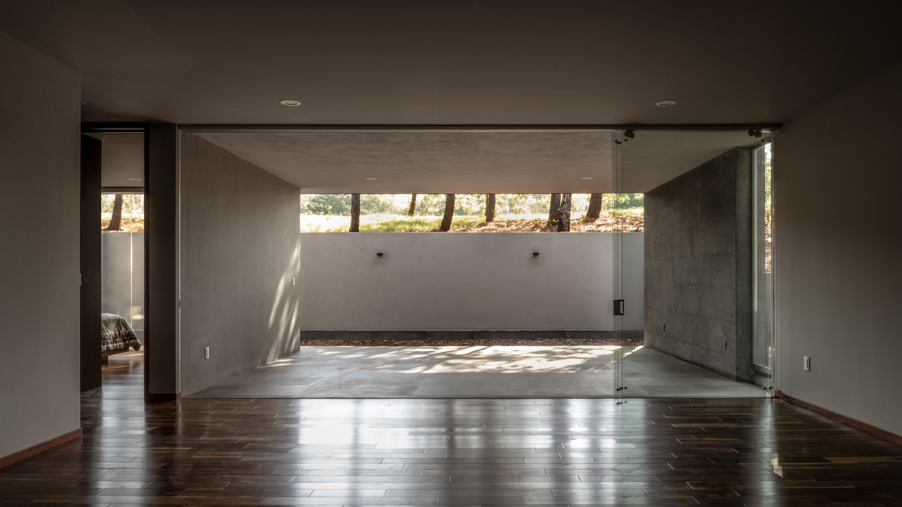 HOUSE BETWEEN PINE TREES by Infante Arquitectos - Architizer