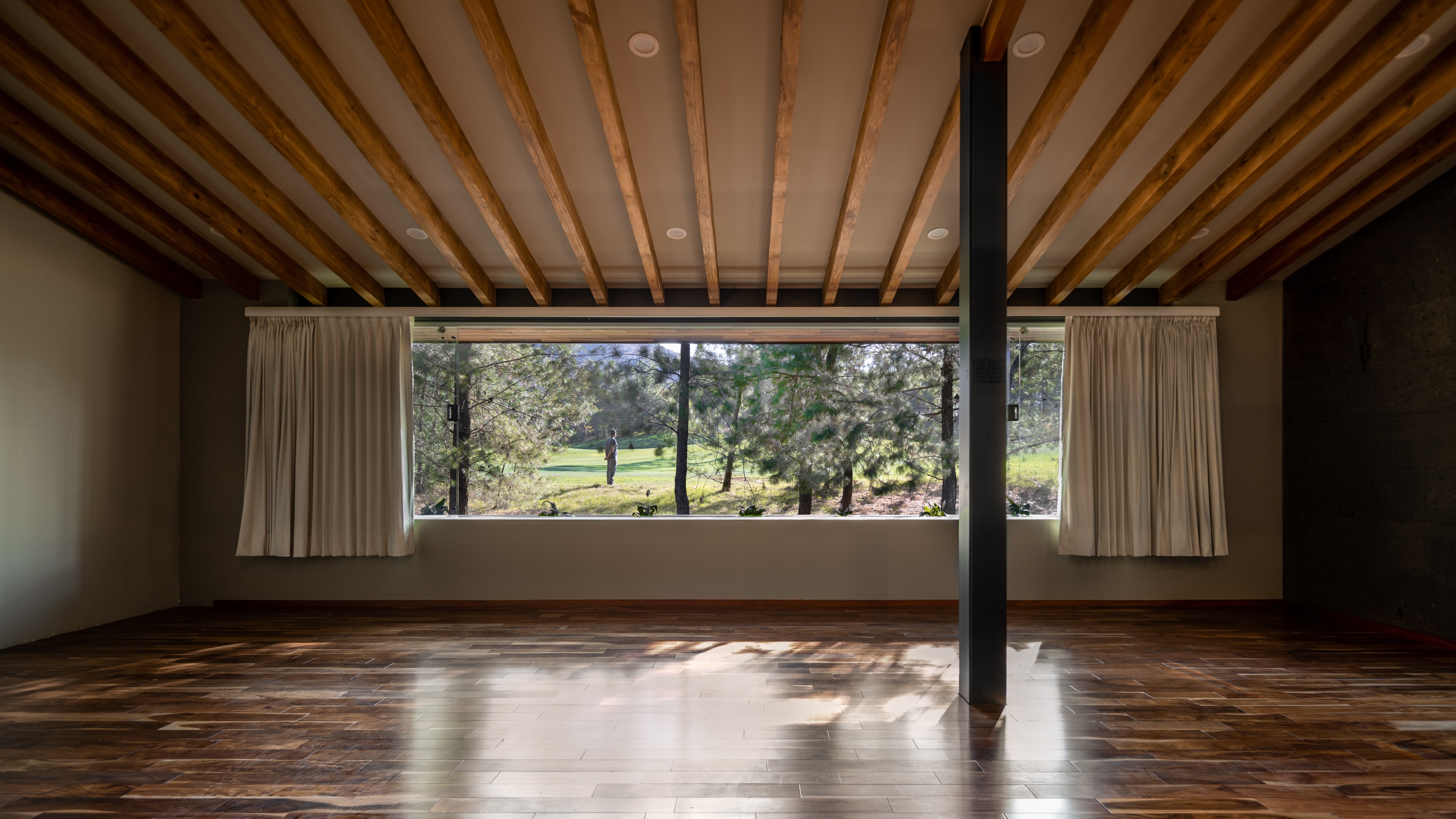 HOUSE BETWEEN PINE TREES by Infante Arquitectos - Architizer